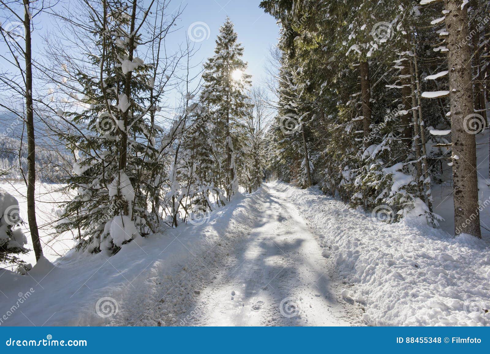 Scene at Winter with Snow and Ice on Small Road Stock Photo - Image of ...