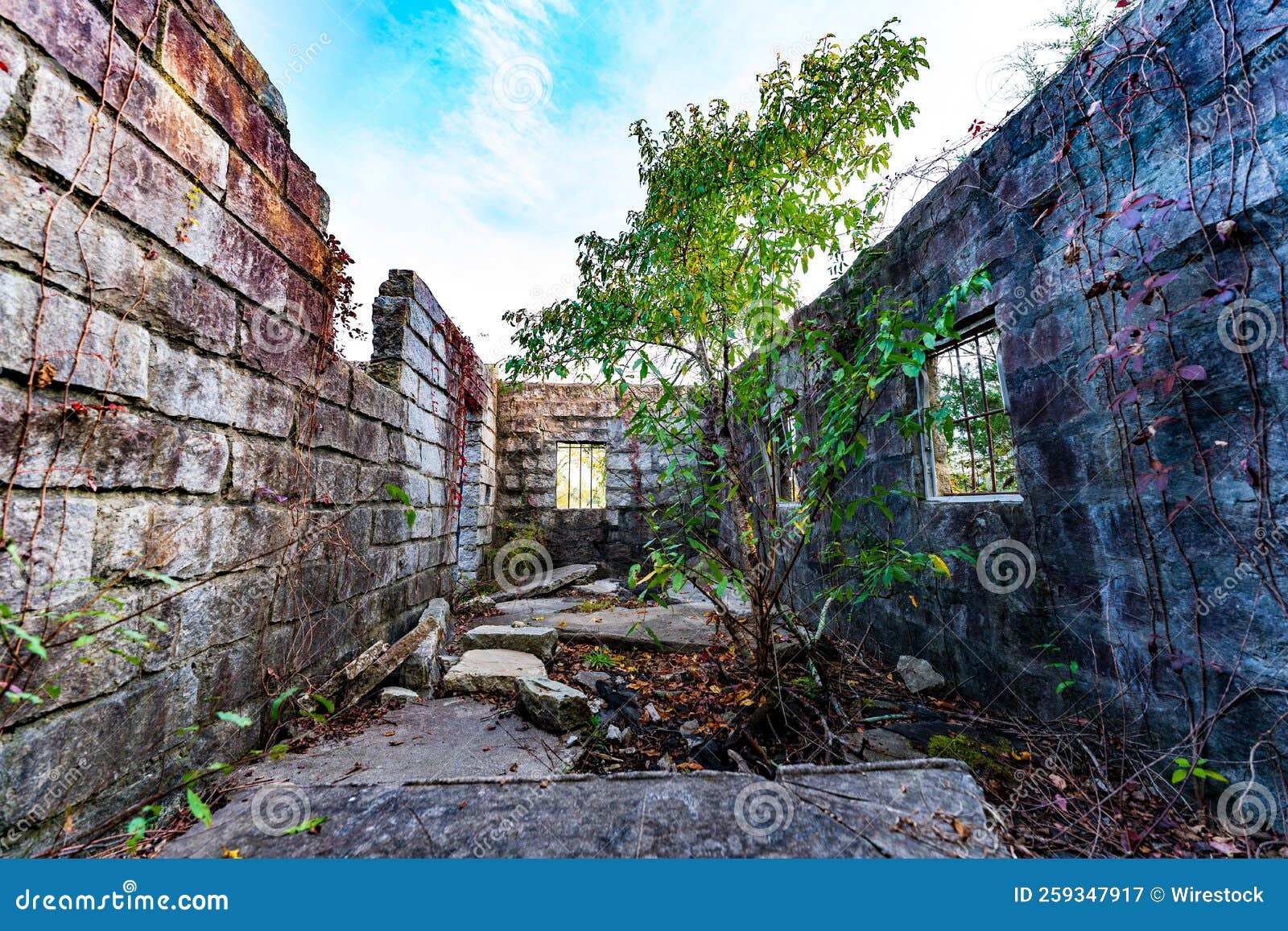 Scenery from Abandoned Ruins with an Open Ceiling Stock Image - Image ...