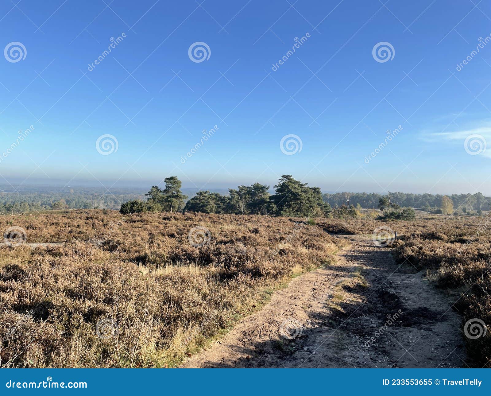 Scenery at the Archemerberg Stock Image - Image of autumn, overijssel ...