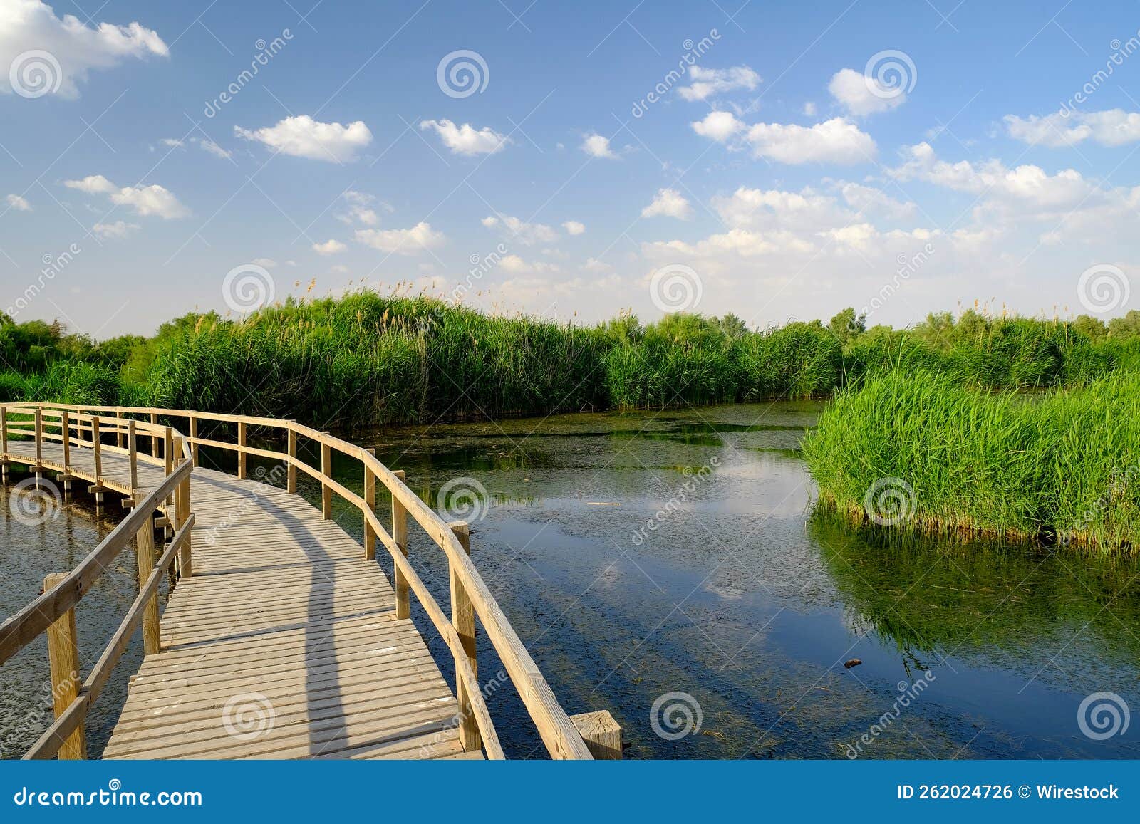 Scenery of the Azraq Wetlands Reserve in the Town of Azraq in the ...