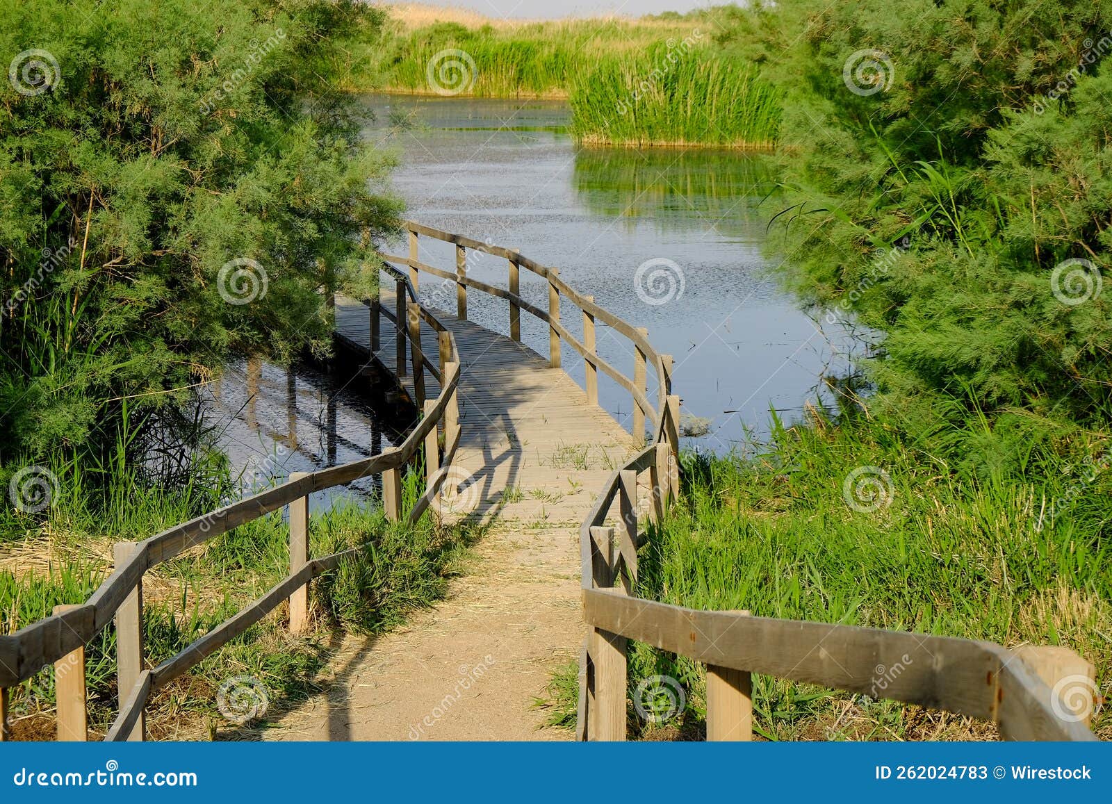 Scenery of the Azraq Wetlands Reserve in the Town of Azraq in the ...