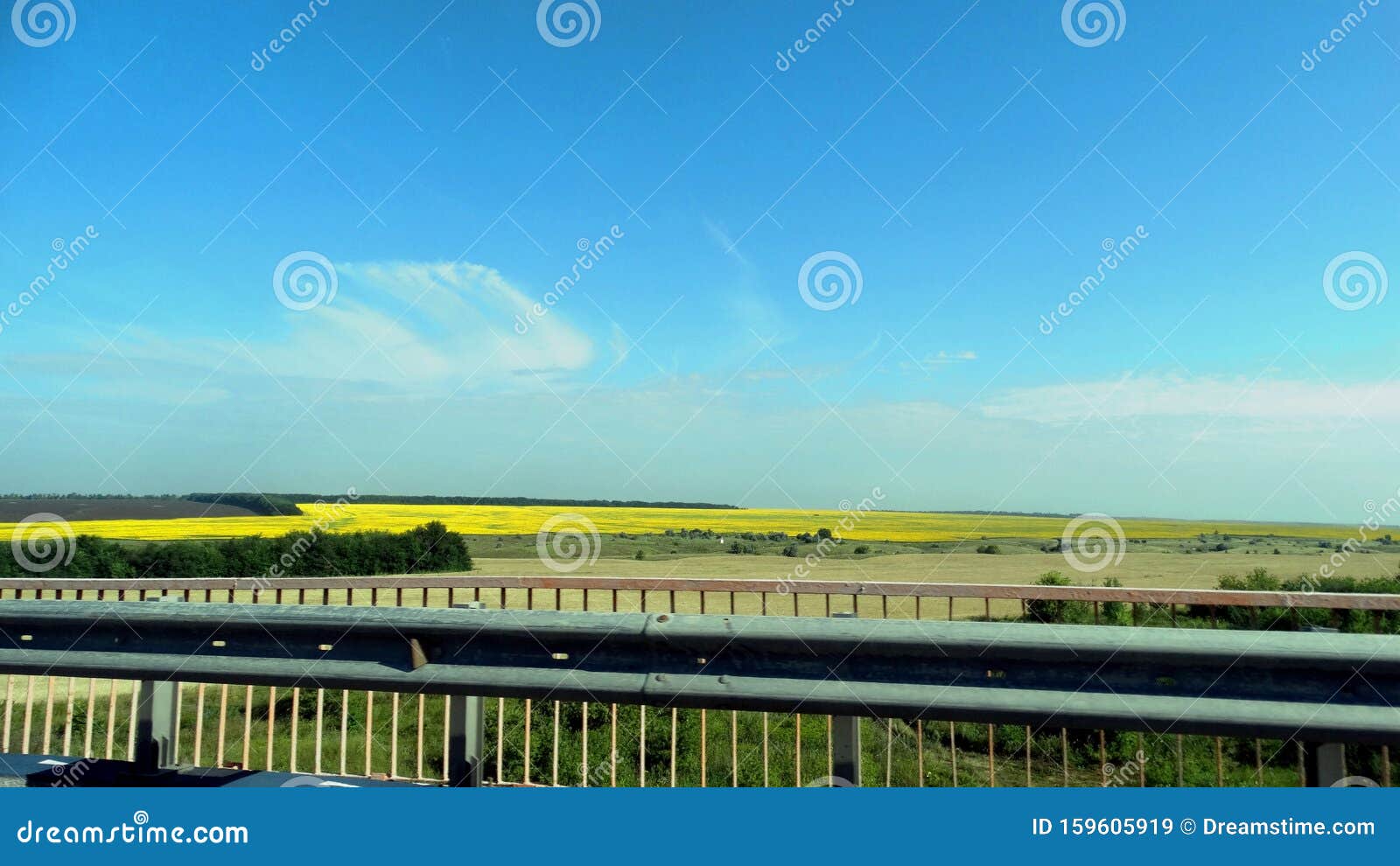 Scenery. Blooming Fields. the Boundless Expanse of Meadows Stock Image ...