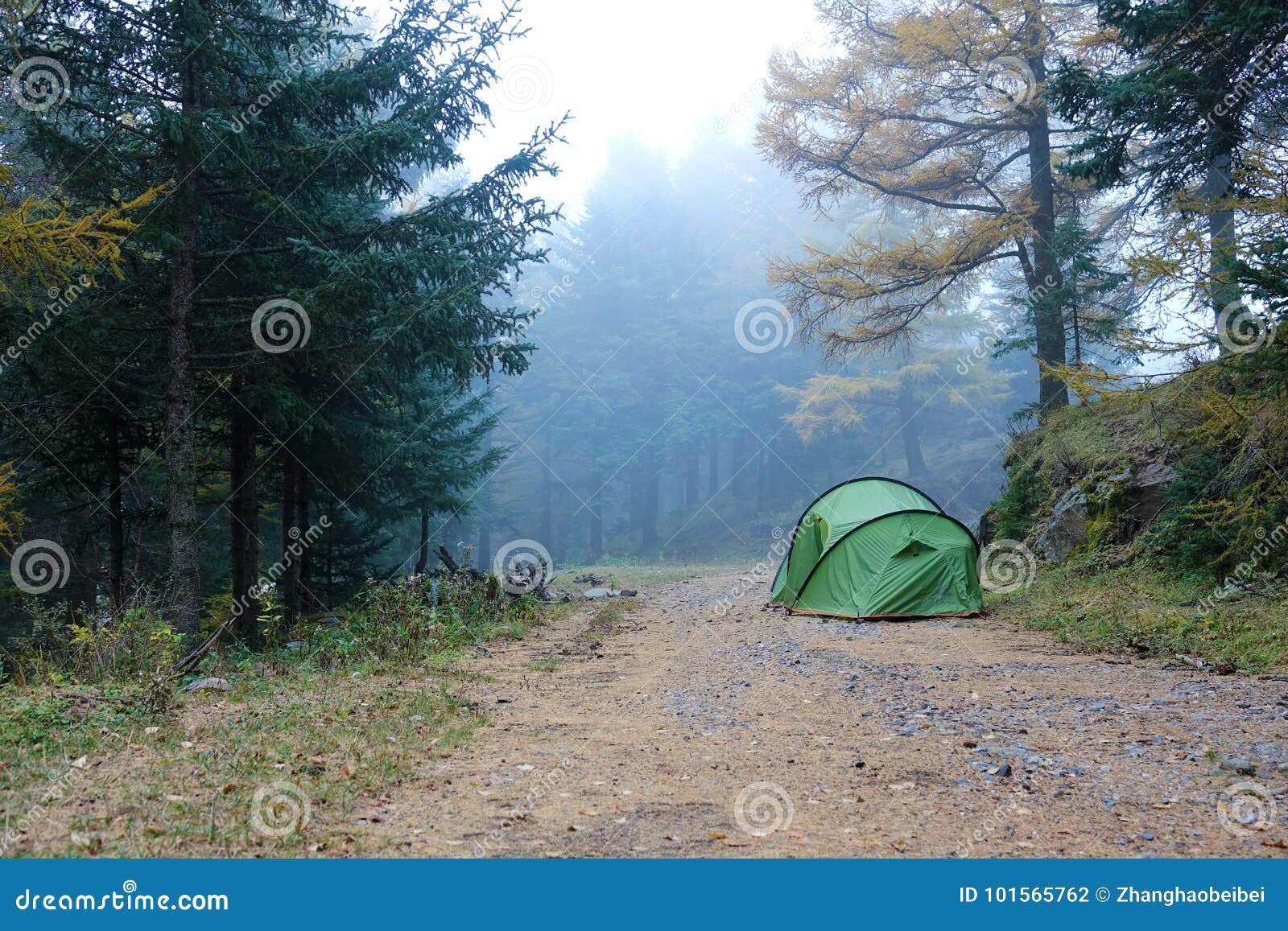 Campground stock photo. Image of trees, campground, scenery - 101565762