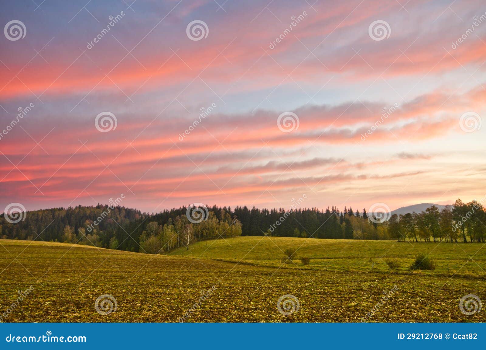Scenery on the Farm during Early Morning Stock Photo - Image of dusk ...