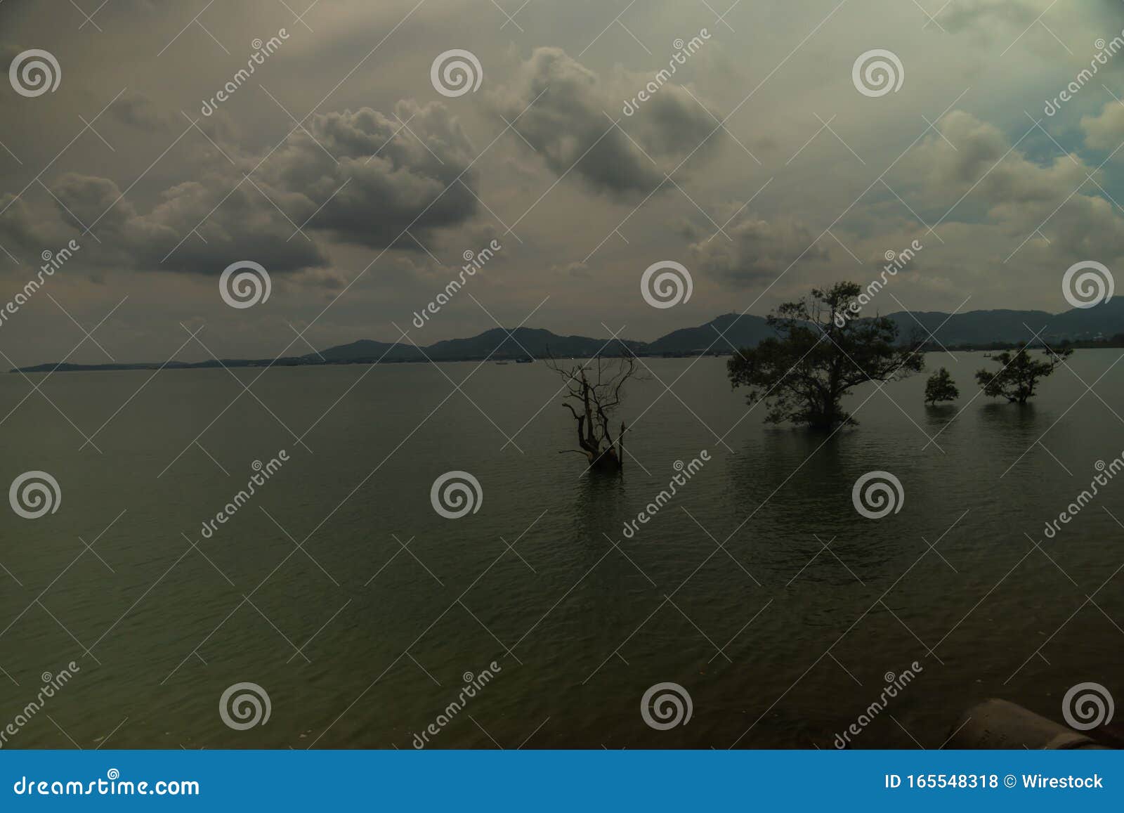 Scenery of Fog Taking Over the Ocean Creating a Nice Breezy Weather ...