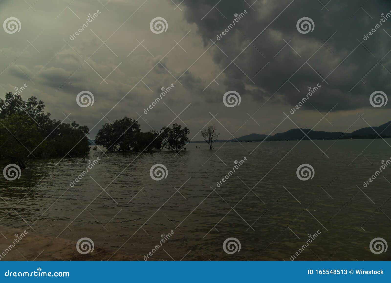 Scenery of Fog Taking Over the Ocean Creating a Nice Breezy Weather ...