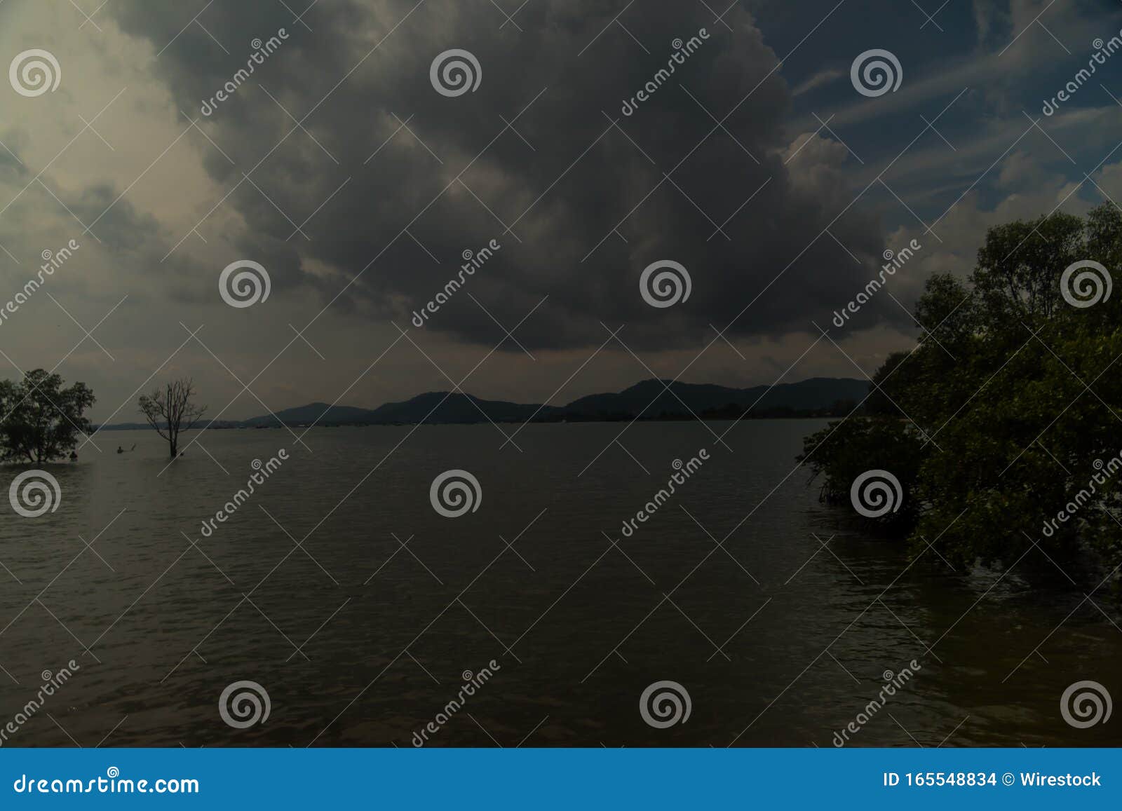 Scenery of Fog Taking Over the Ocean Creating a Nice Breezy Weather ...