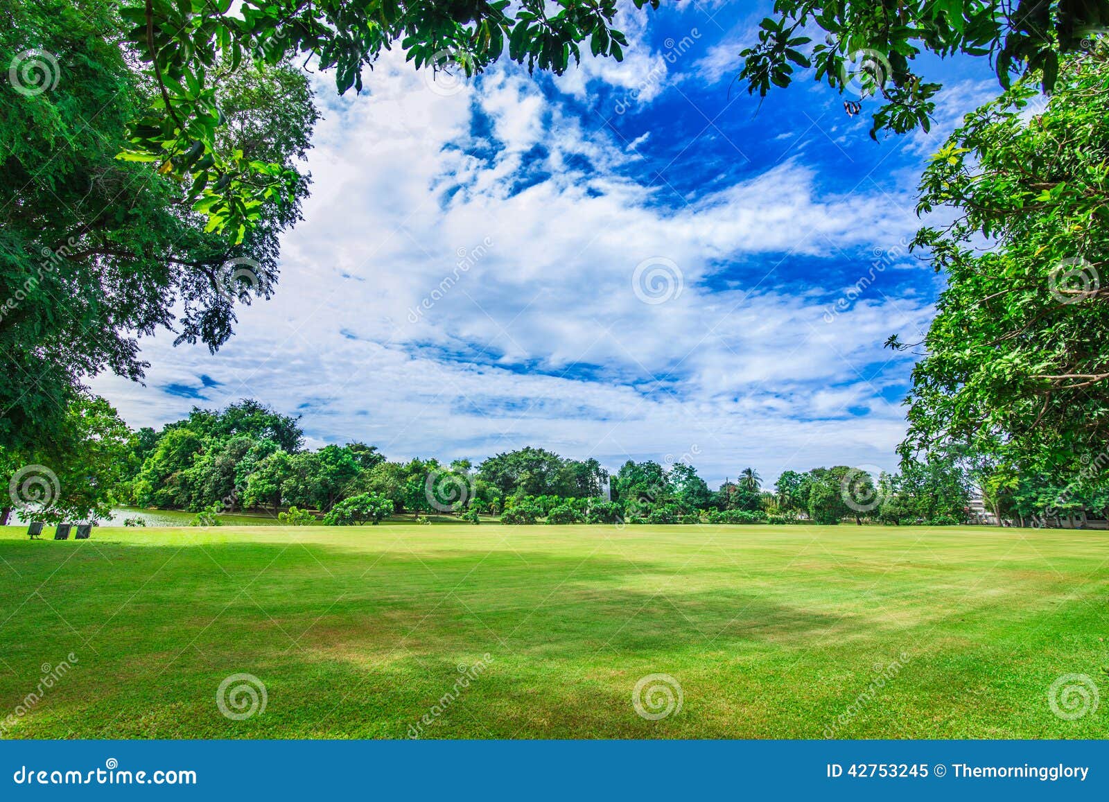 Scenery of Green Grass on Summer Landscape Stock Image - Image of ...