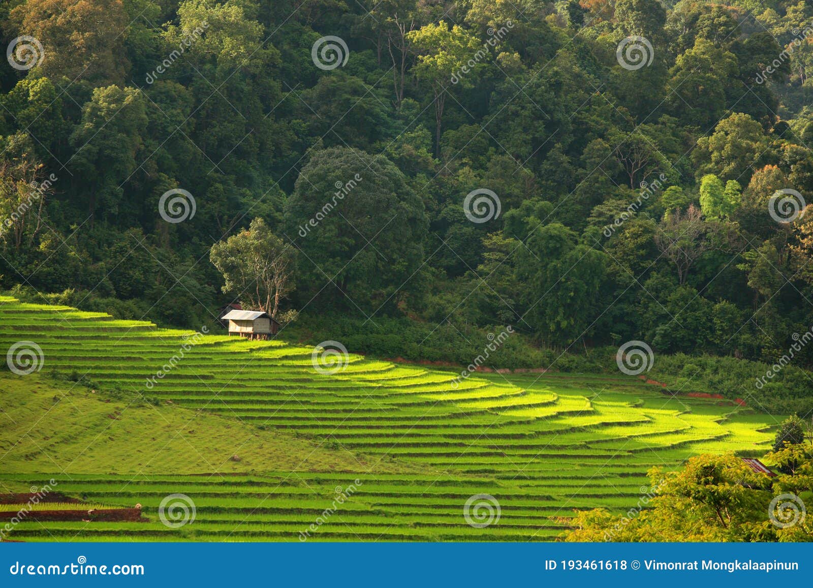 Dry And Green Step Farms - Agriculture In A Village In Himalayan ...