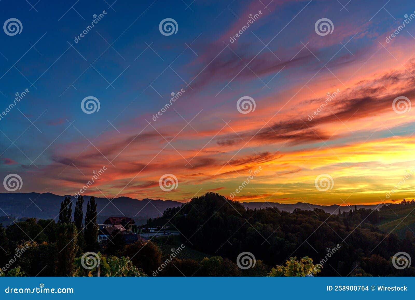 Scenery of Green Trees Under Orange and Light Red Clouds during Sunset ...