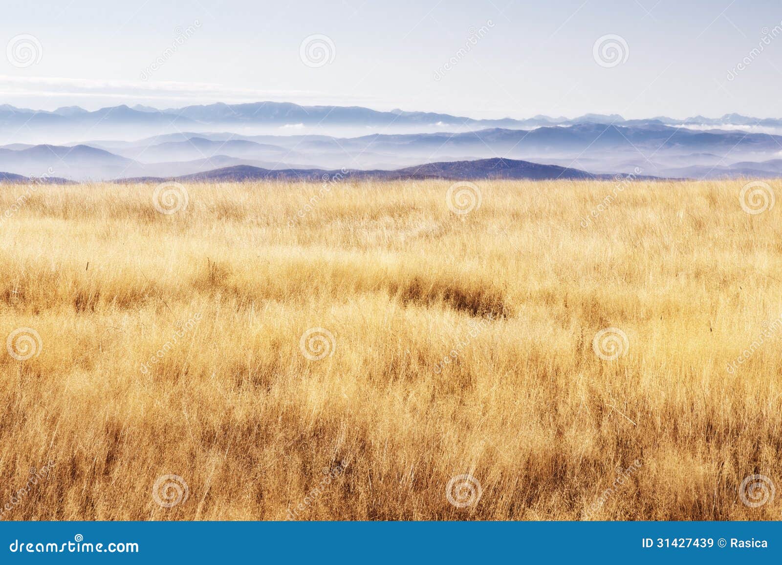 Scenery - highland grass stock image. Image of morning - 31427439
