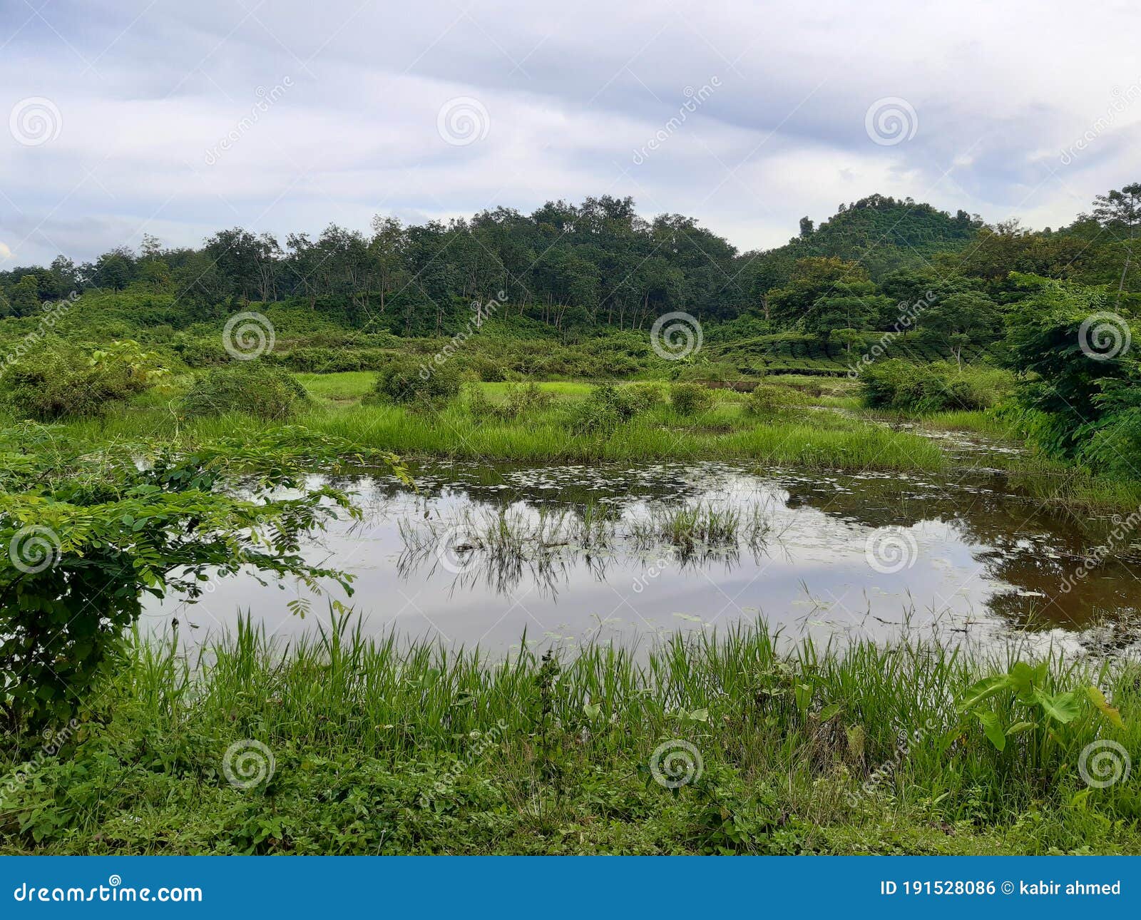 Scenery of hills and pond stock photo. Image of pond - 191528086