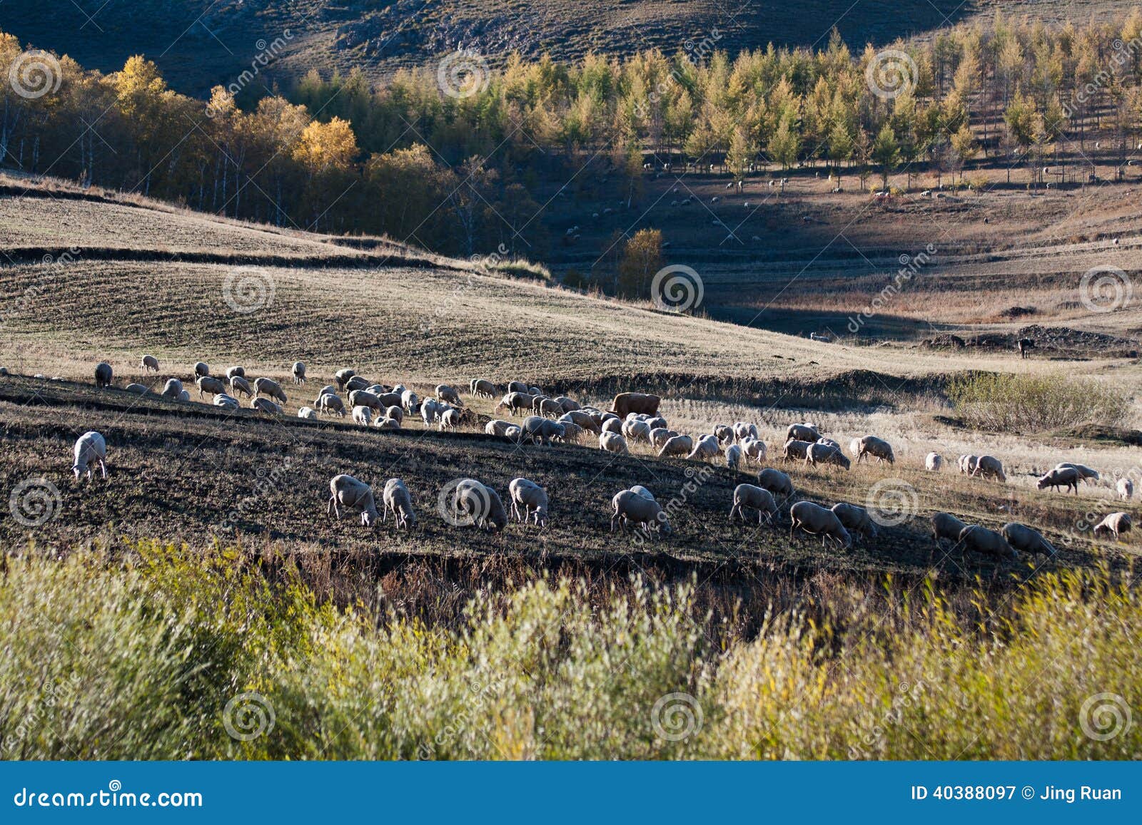 Scenery of Inner Mongolia Prairie Stock Image - Image of mongolia ...
