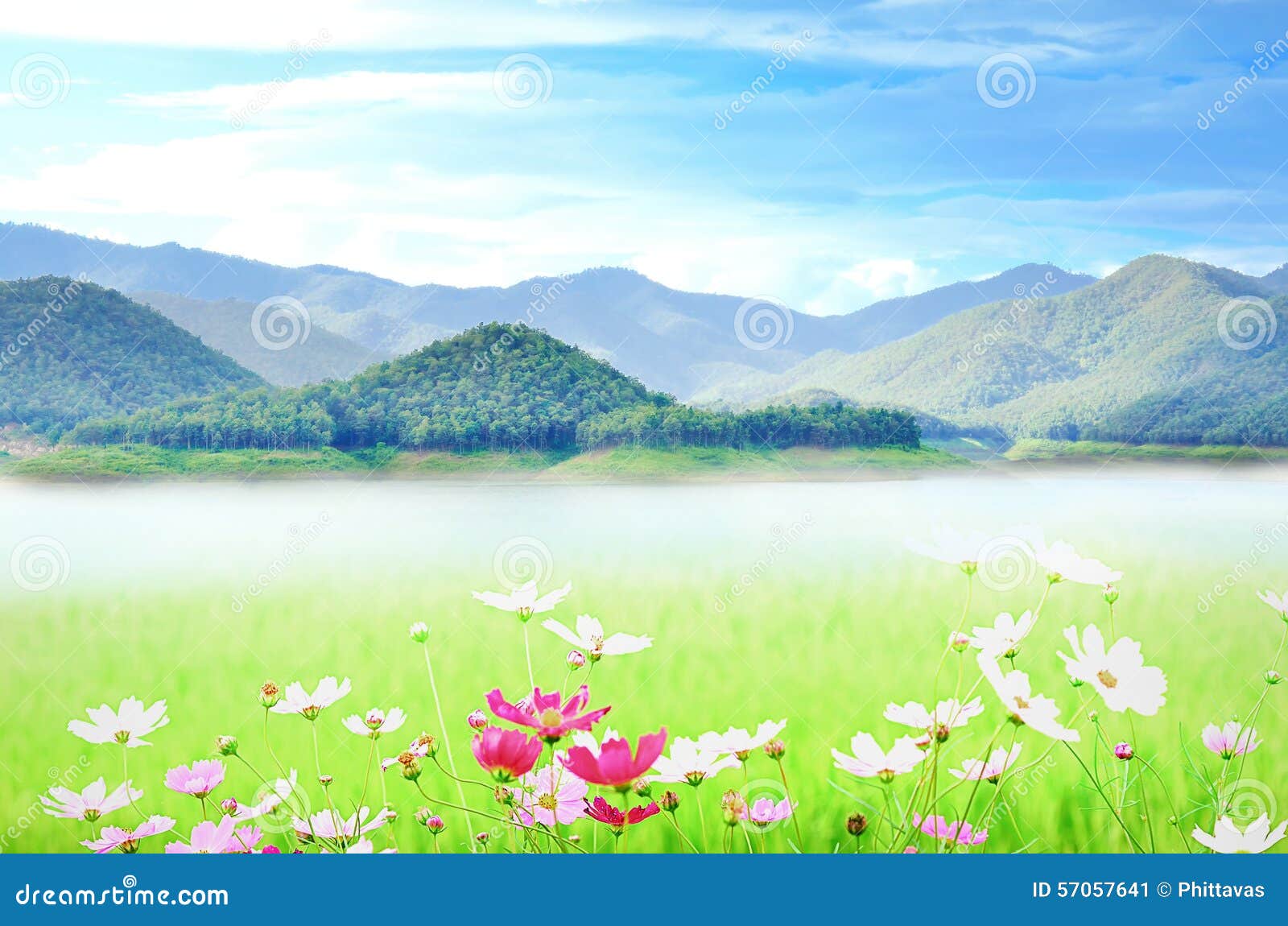 Scenery Meadow Viewpoint and Beautiful Lake Stock Image - Image of ...