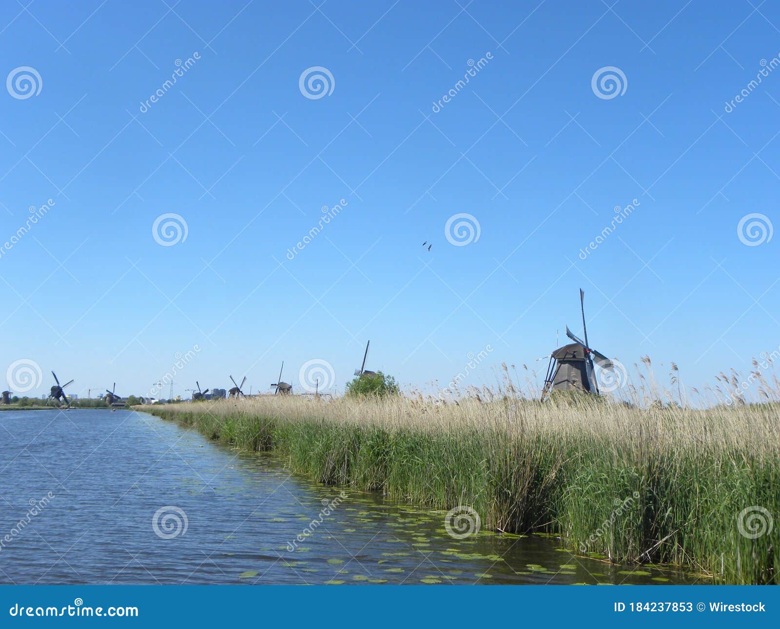 Scenery of Mills Near a River on a Blue Clear Sky Background Stock ...