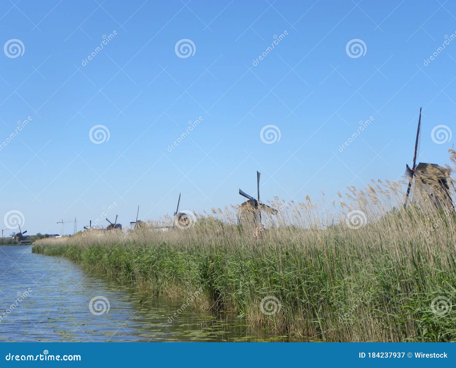 Scenery of Mills Near a River on a Blue Clear Sky Background Stock ...