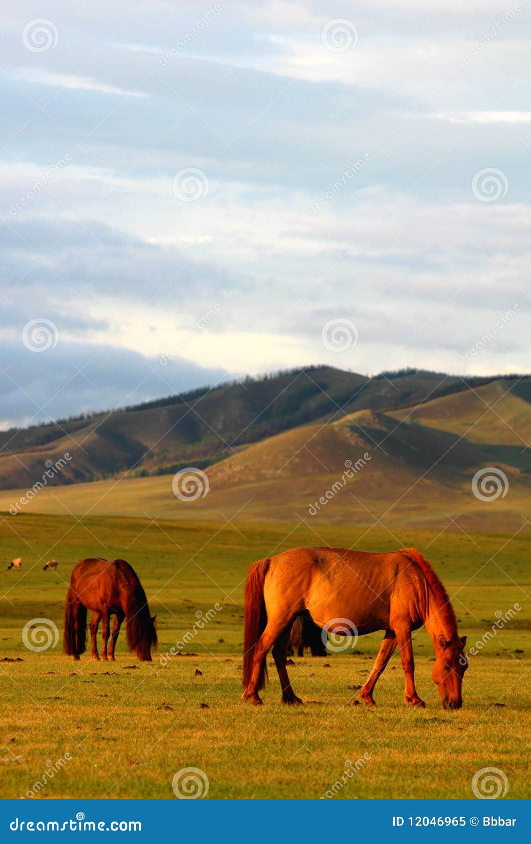 Scenery in Mongolia stock image. Image of clouds, mongol - 12046965