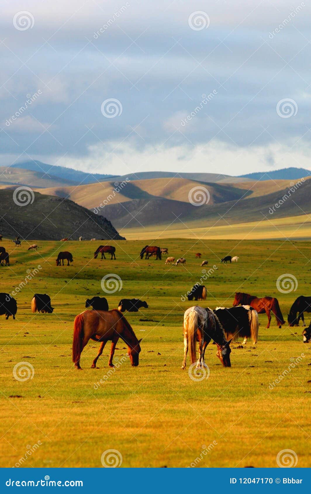 Scenery in Mongolia stock photo. Image of sunlight, mongol - 12047170