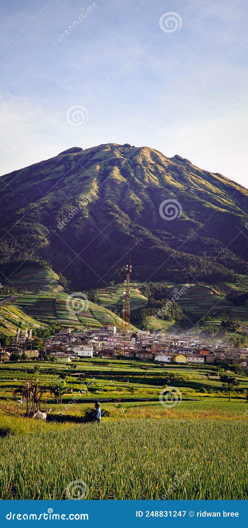 Scenery of Mountain Sumbing in Central Java Stock Image - Image of ...