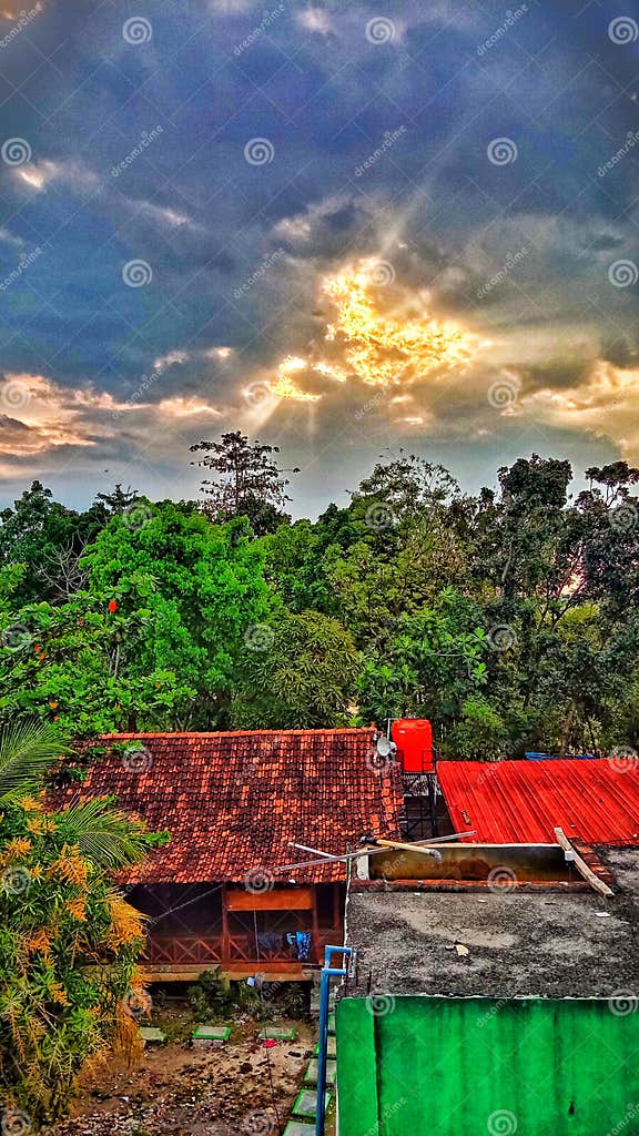 Scenery in my hometown stock image. Image of forst, sunset - 255187645