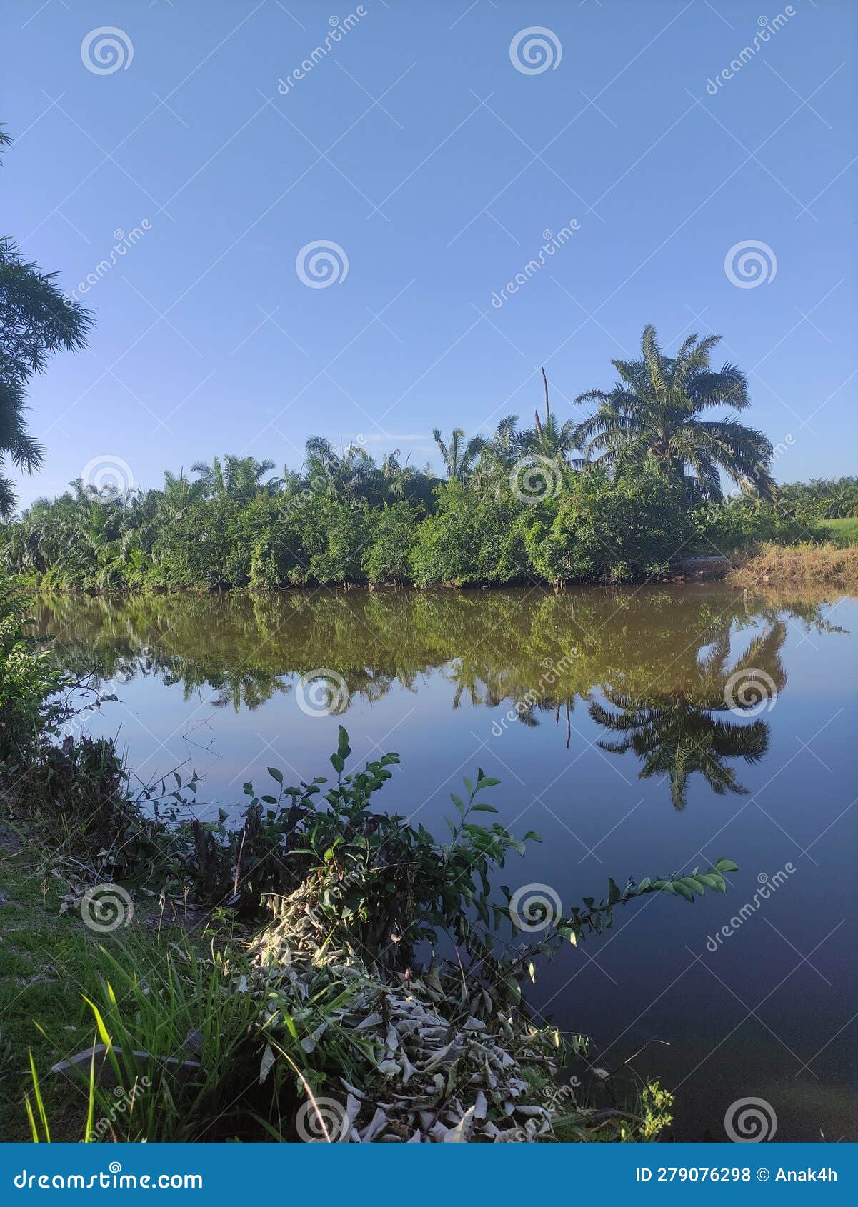 Scenery stock photo. Image of scenery, perak, kurau - 279076298