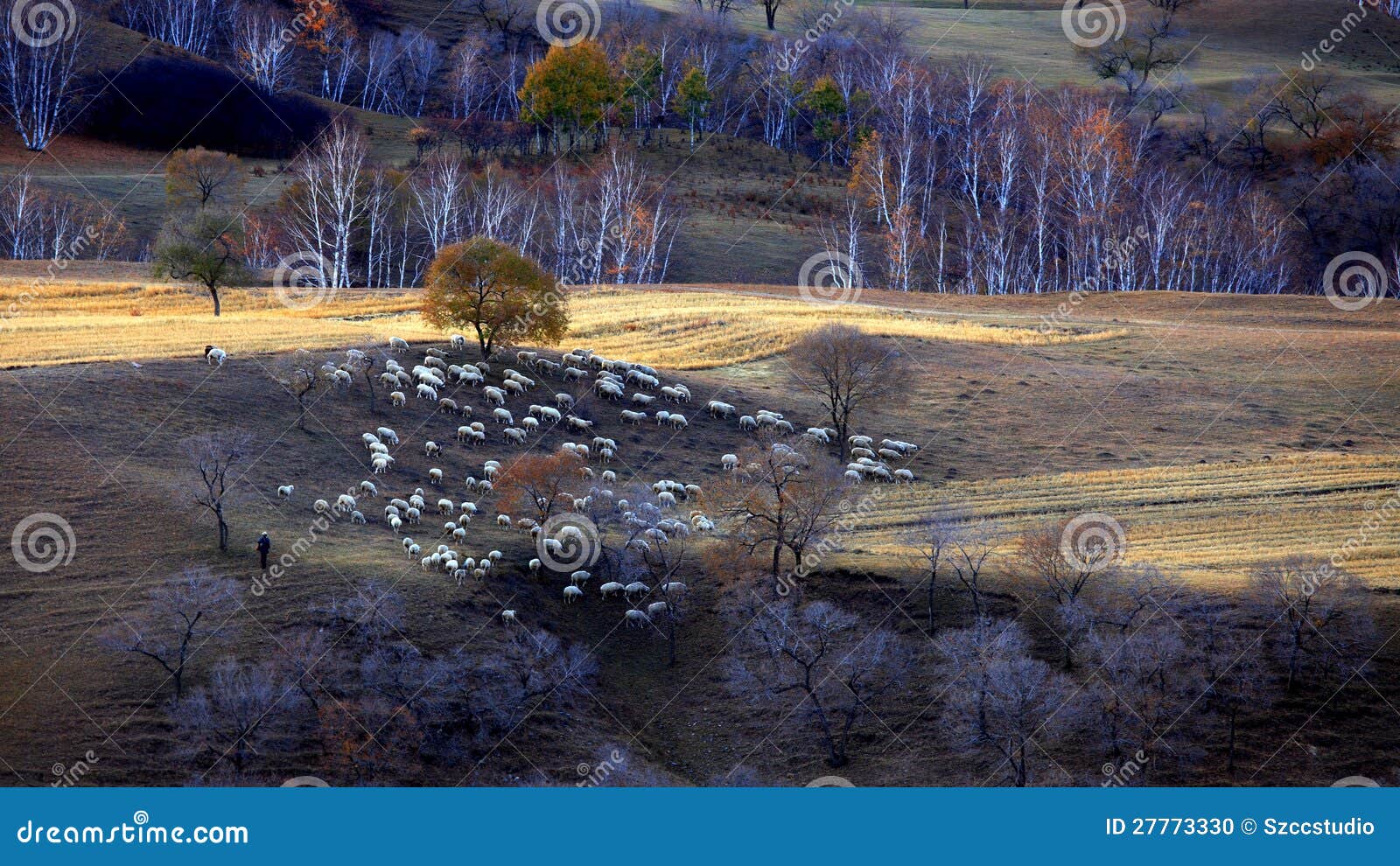 Scenery of Northern China stock photo. Image of farm - 27773330