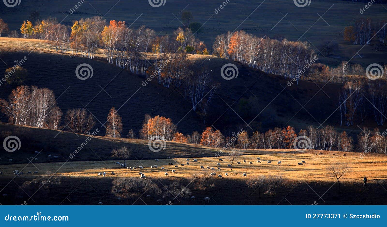 Scenery of Northern China stock image. Image of field - 27773371