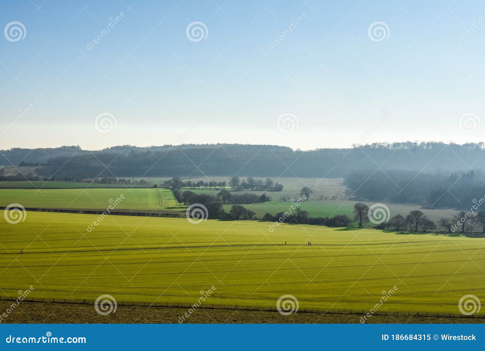 Scenery of an Open Field Covered in Grass and Trees Captured during the ...
