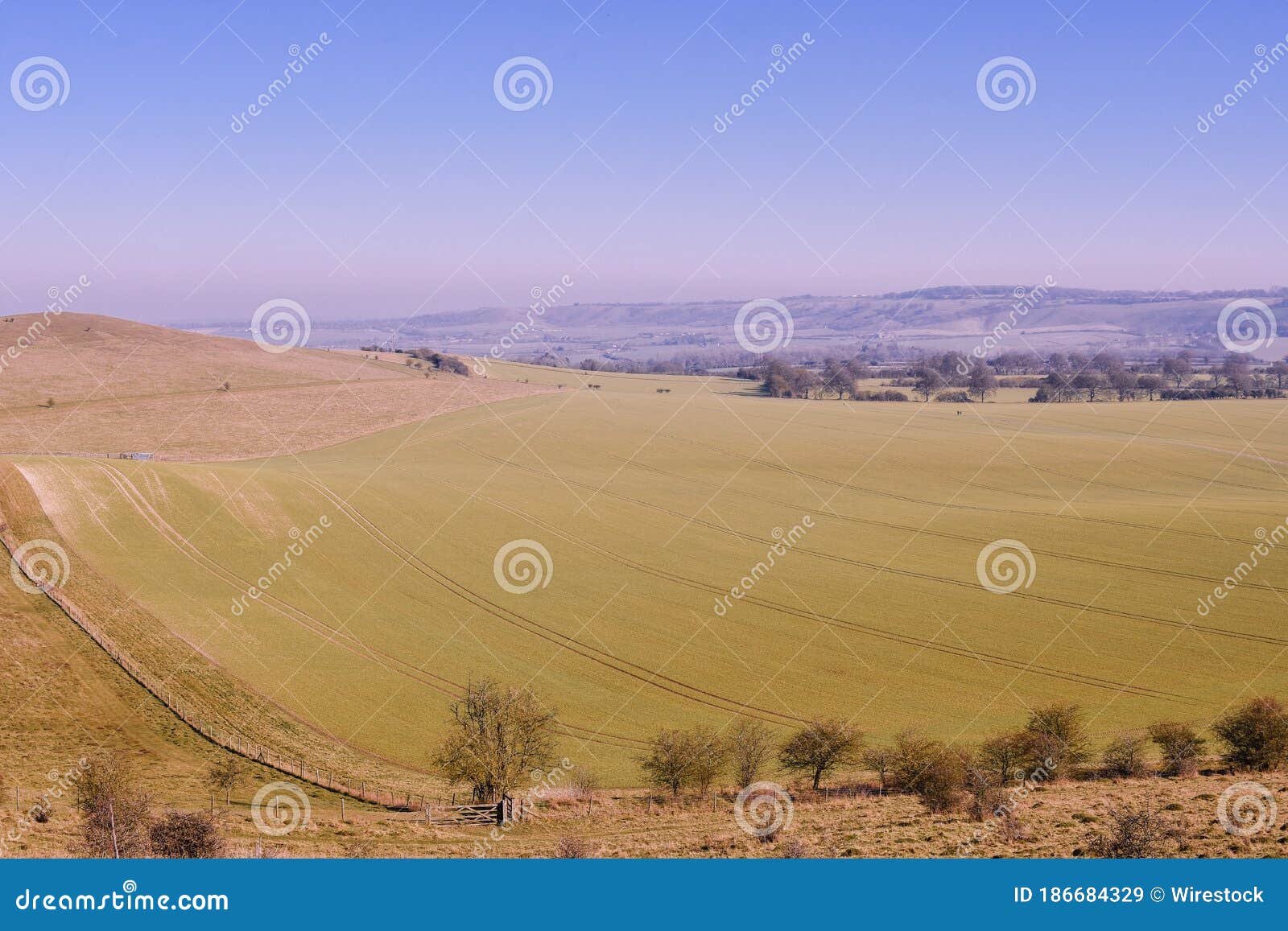 Scenery of an Open Field Covered in Grass and Trees Captured during the ...