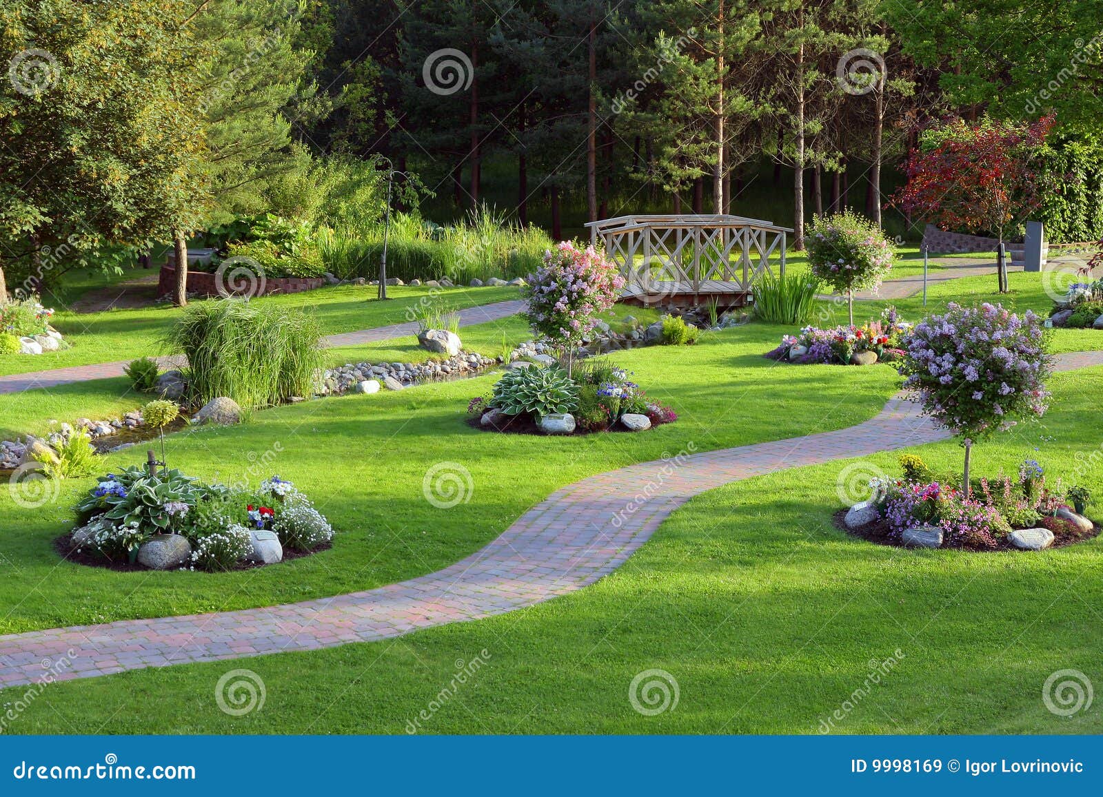 A scenery in park stock image. Image of land, nature, earth - 9998169