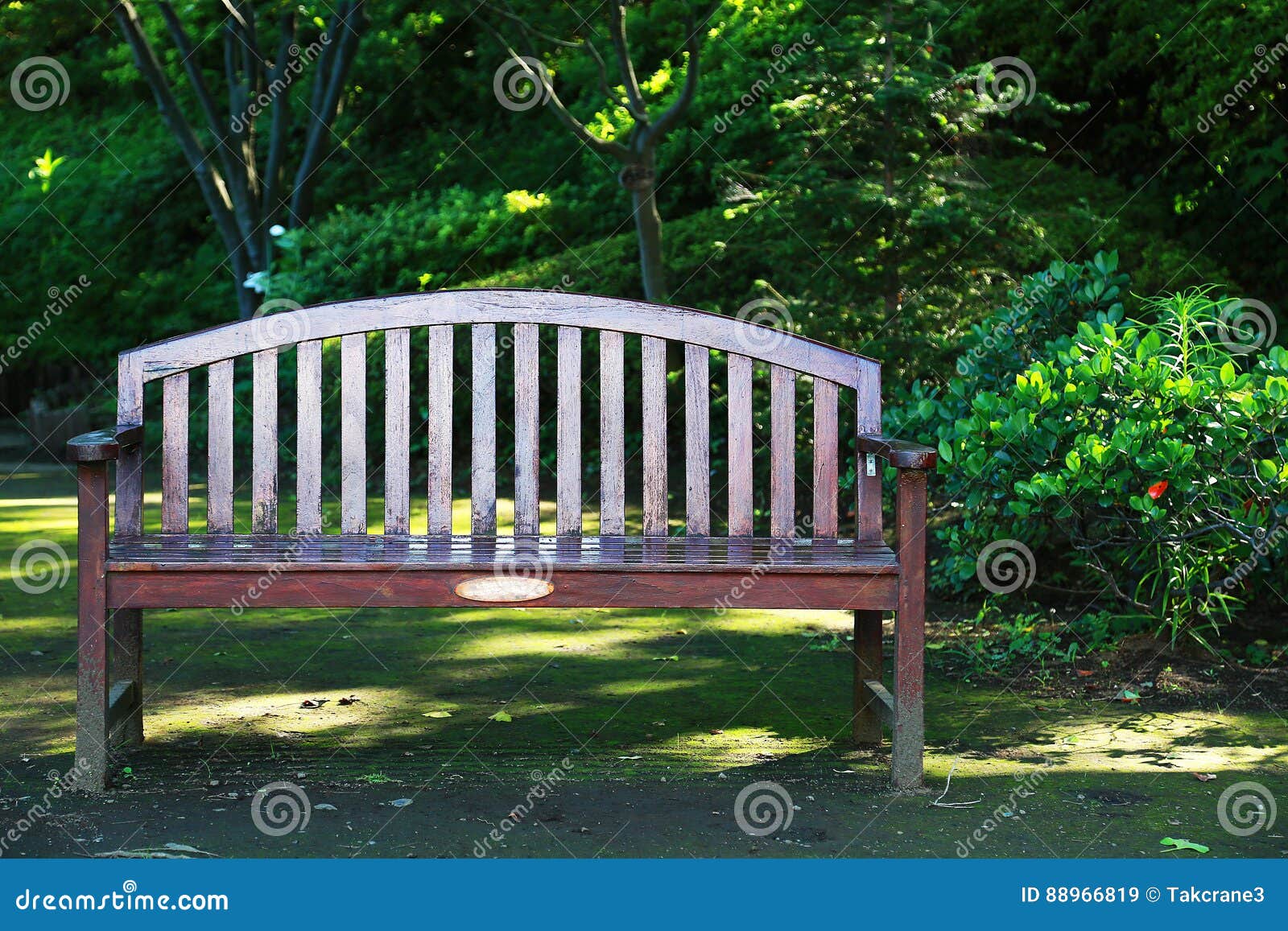 Scenery of park bench stock image. Image of leaf, chair - 88966819