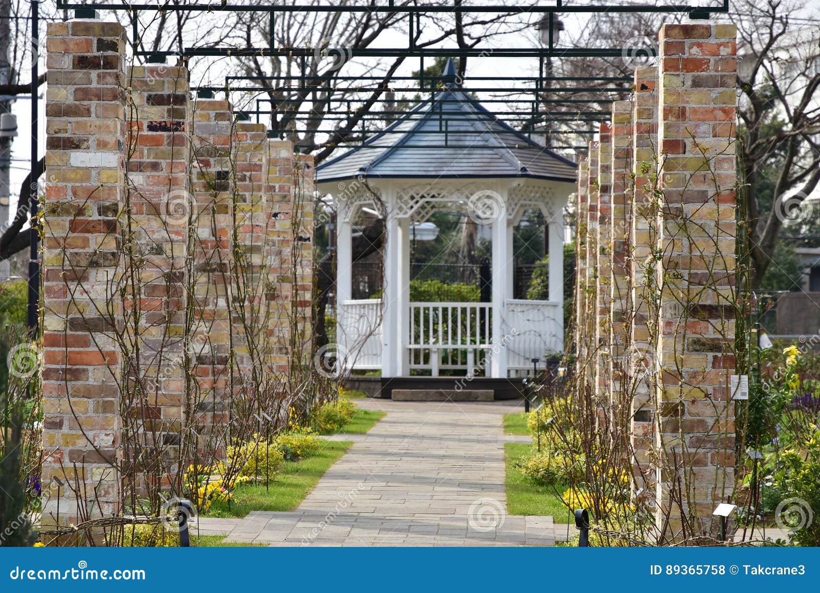 Scenery of park rest area stock photo. Image of rest - 89365758