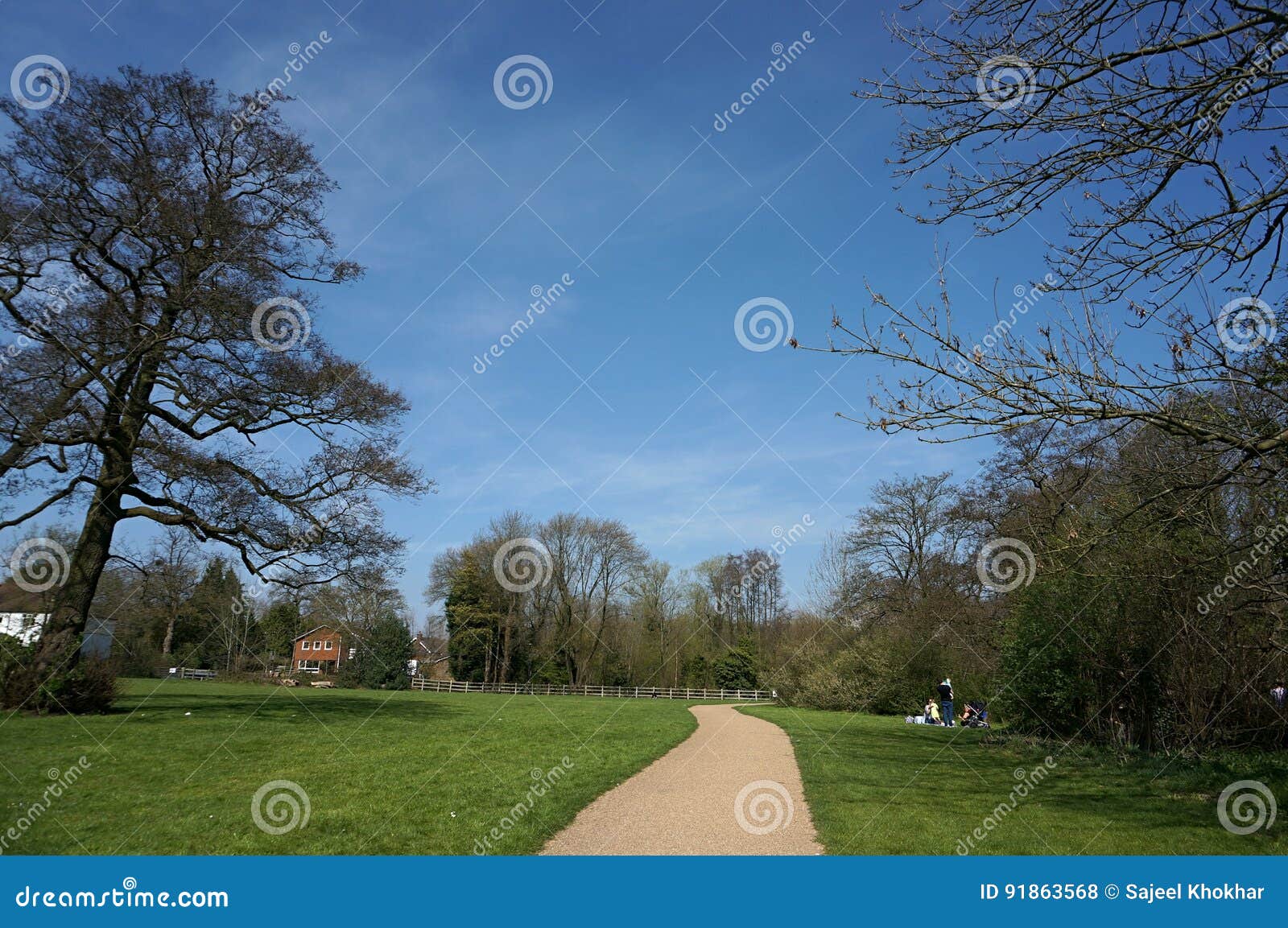 Scenery in the Park stock photo. Image of grassland, daytime - 91863568
