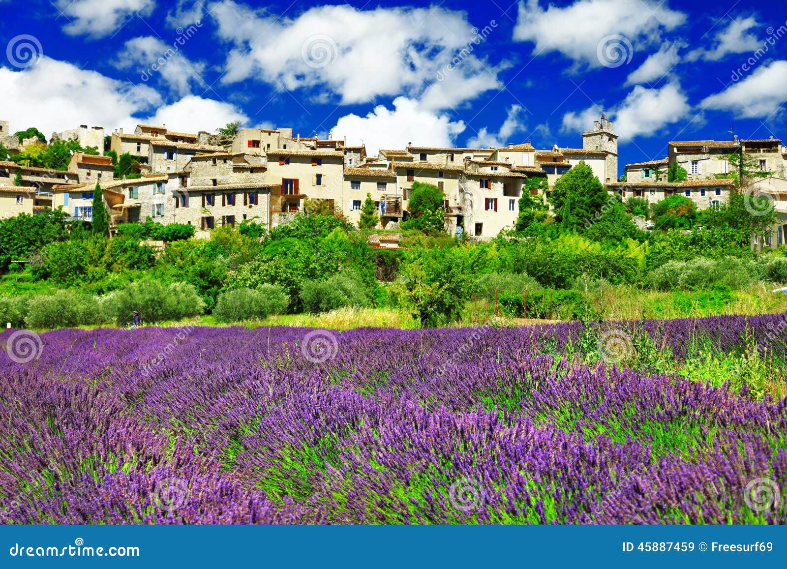 Scenery of Provence stock image. Image of july, fragrant - 45887459