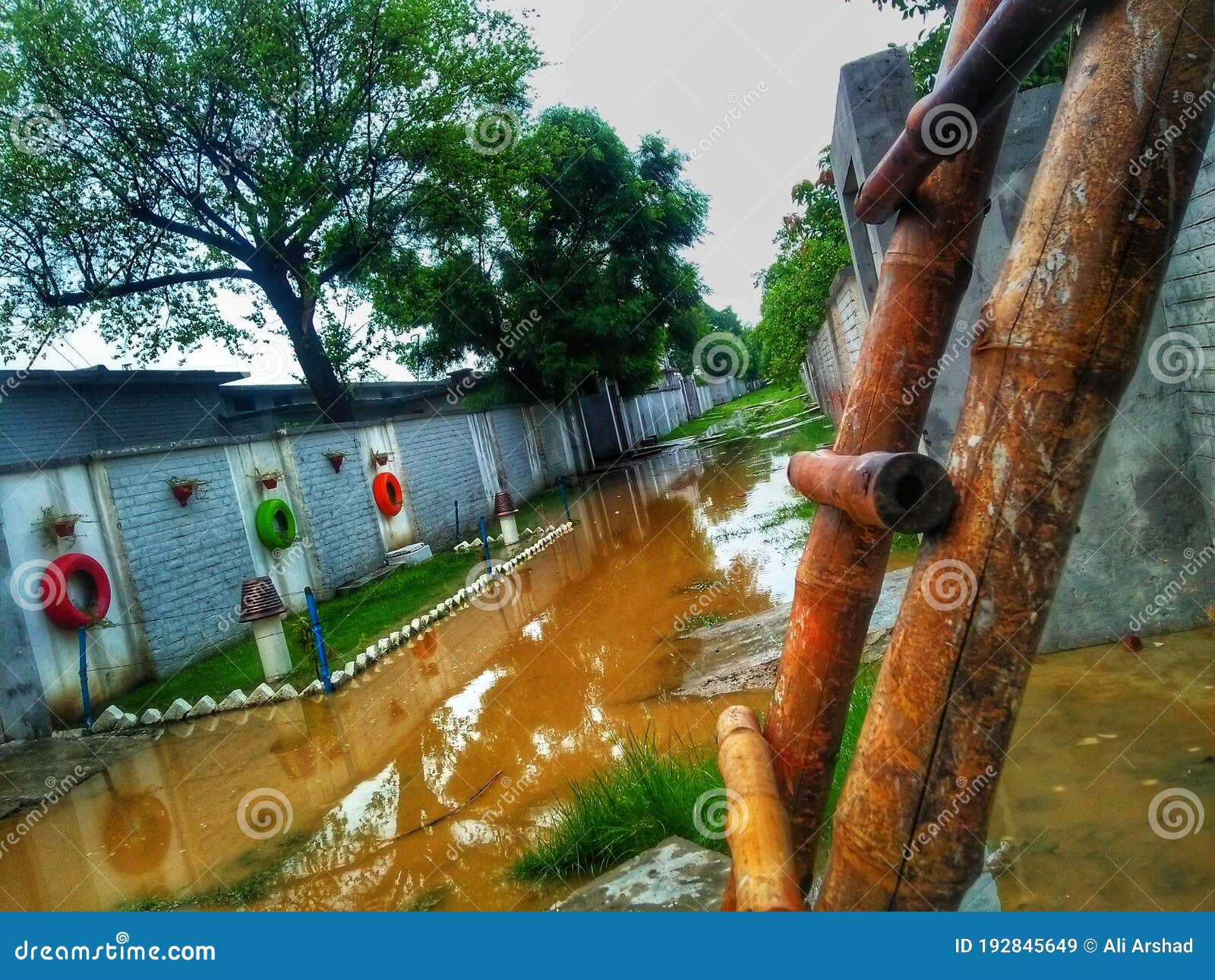Scenery after rain stock image. Image of beauty, nature - 192845649