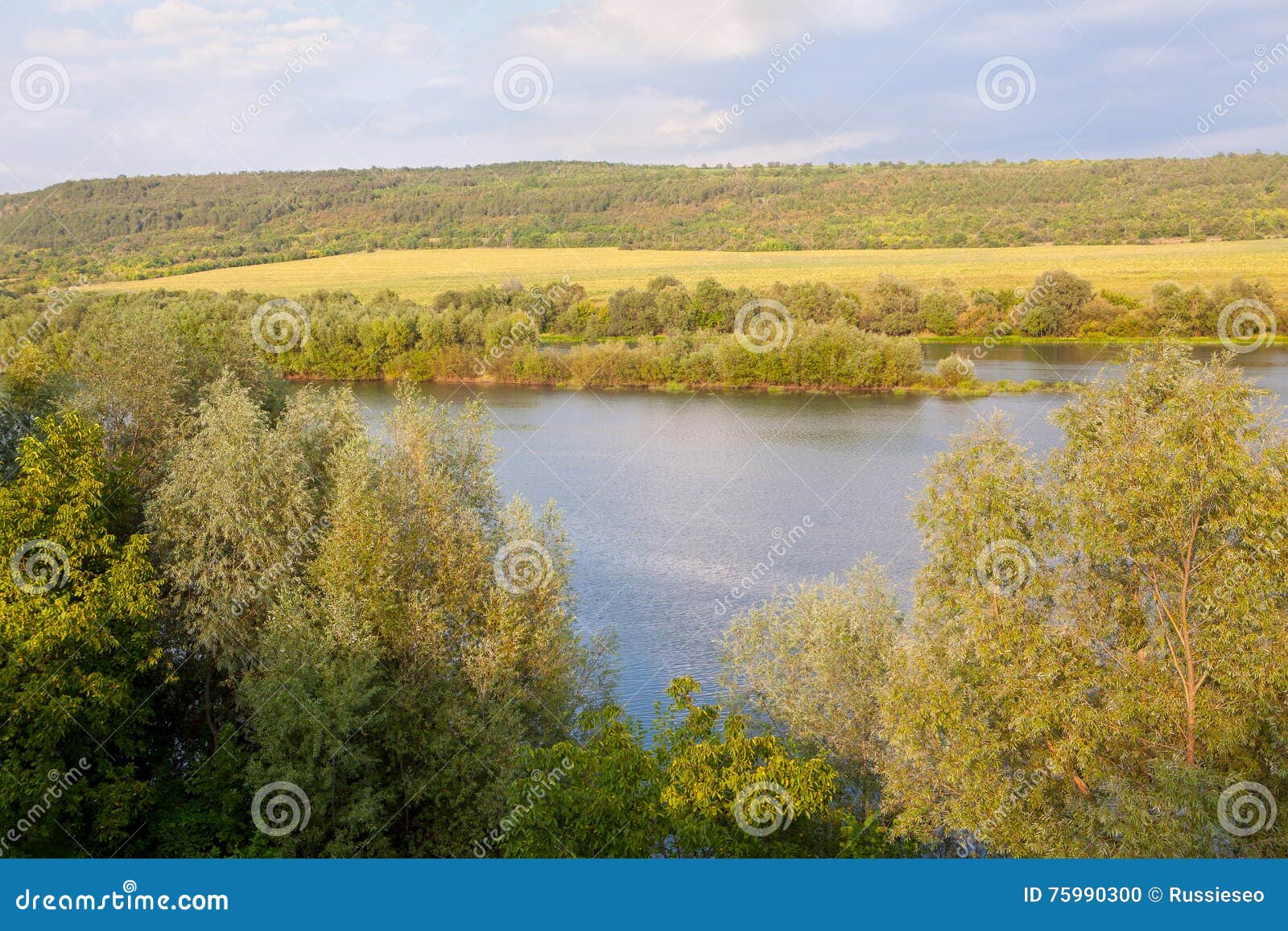 Scenery on the riverside stock photo. Image of green - 75990300