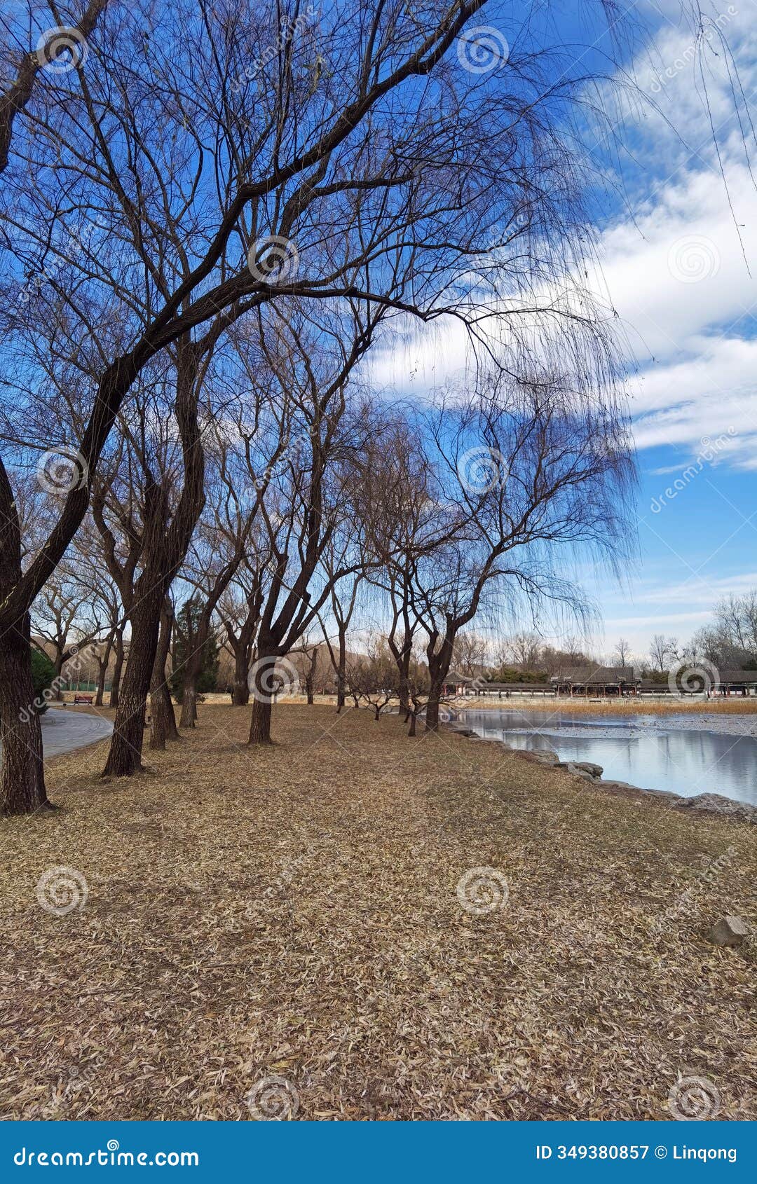 Scenery of the Riverside in the Suburbs in Winter Stock Image - Image ...