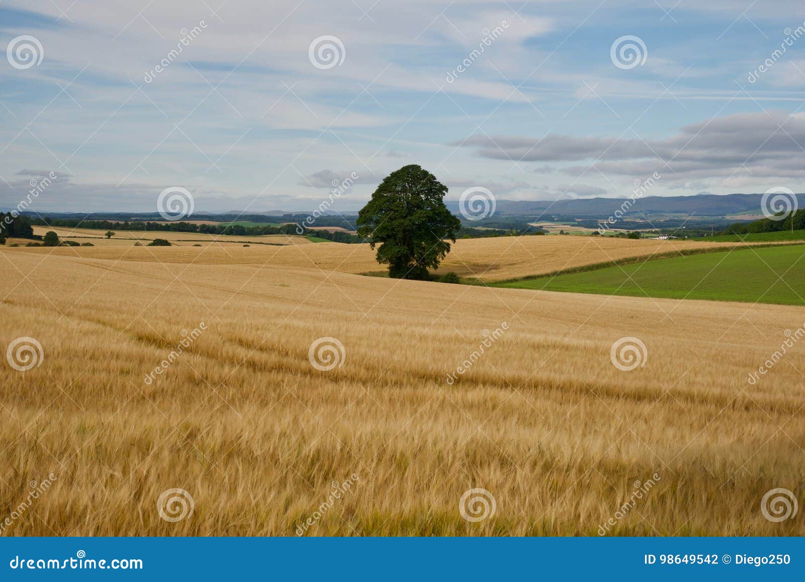 Scenery of Scotland in England Stock Photo - Image of isle, rock: 98649542