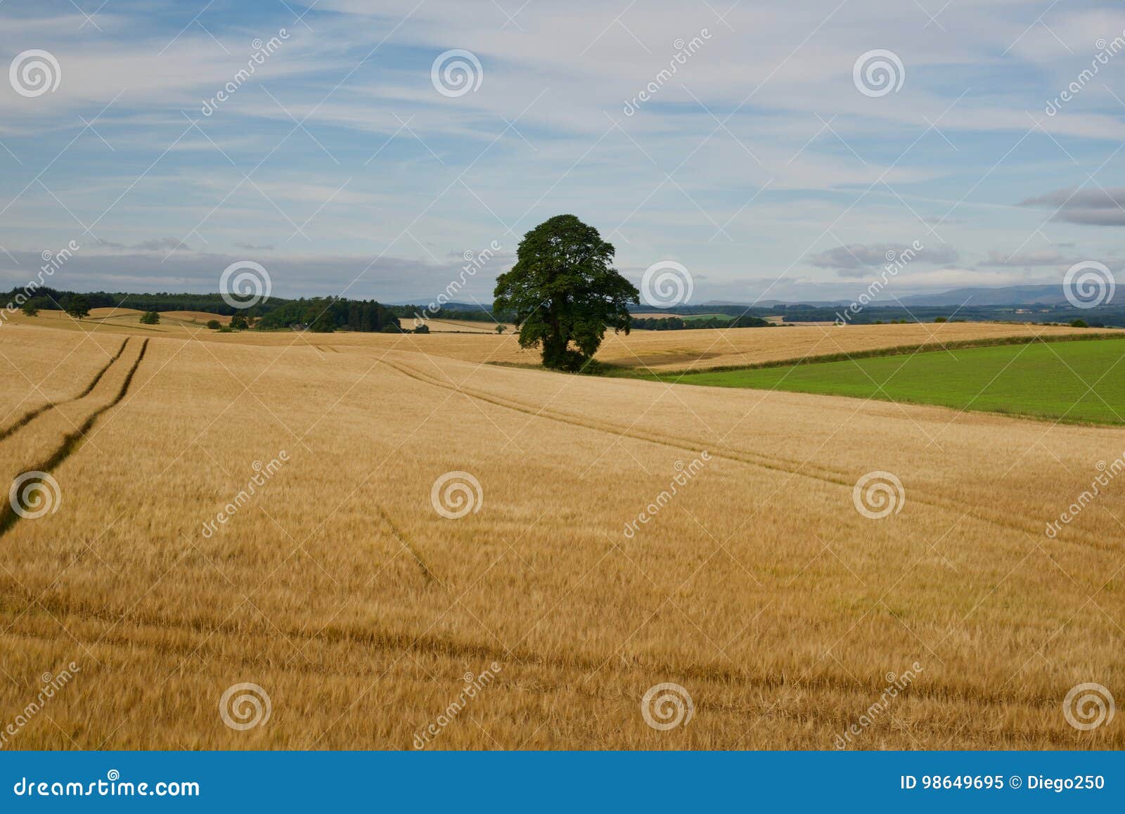 Scenery of Scotland in England Stock Image - Image of fields, quiraing ...