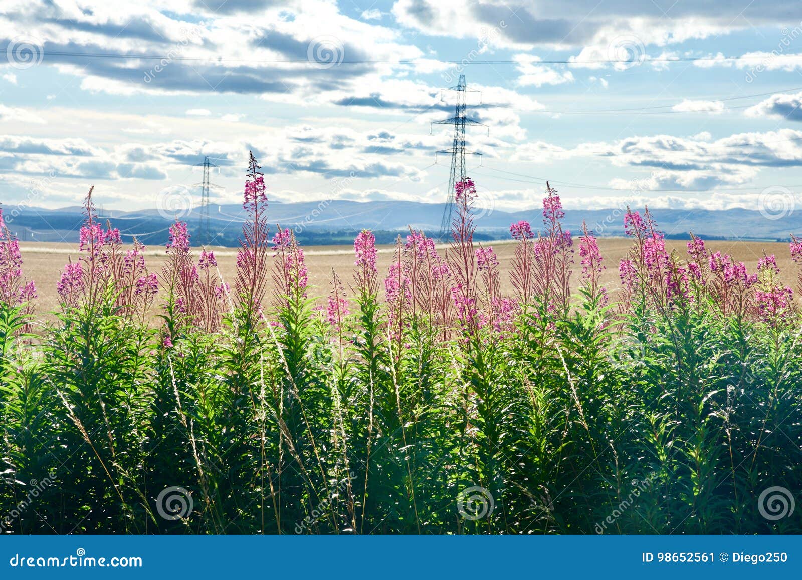 Scenery of Scotland in England Stock Image - Image of blue, beds: 98652561