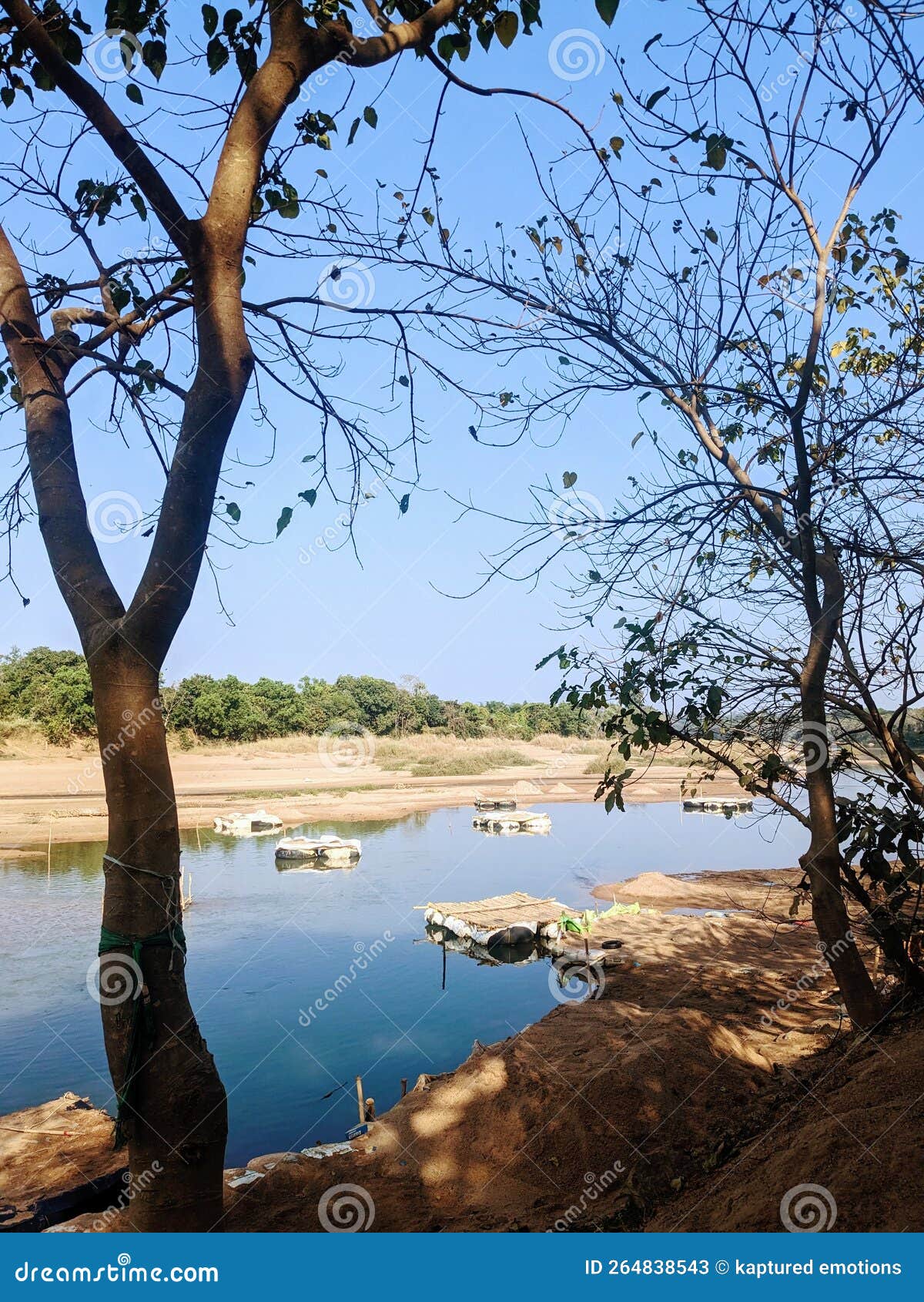 Scenery Showing River,boats and Tress Stock Image - Image of wetland ...