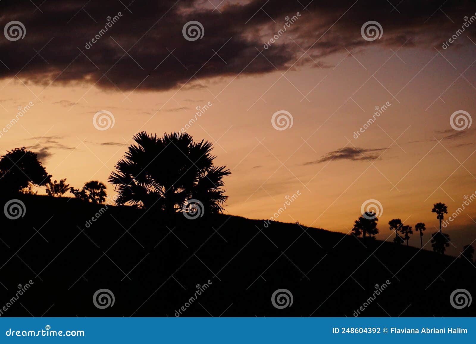 Scenery with Silhouettes of Trees and Clear Sky in the Afternoon. Stock ...