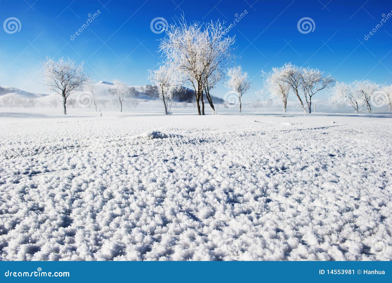 The scenery in the snow stock image. Image of trees, mongolia - 14553981