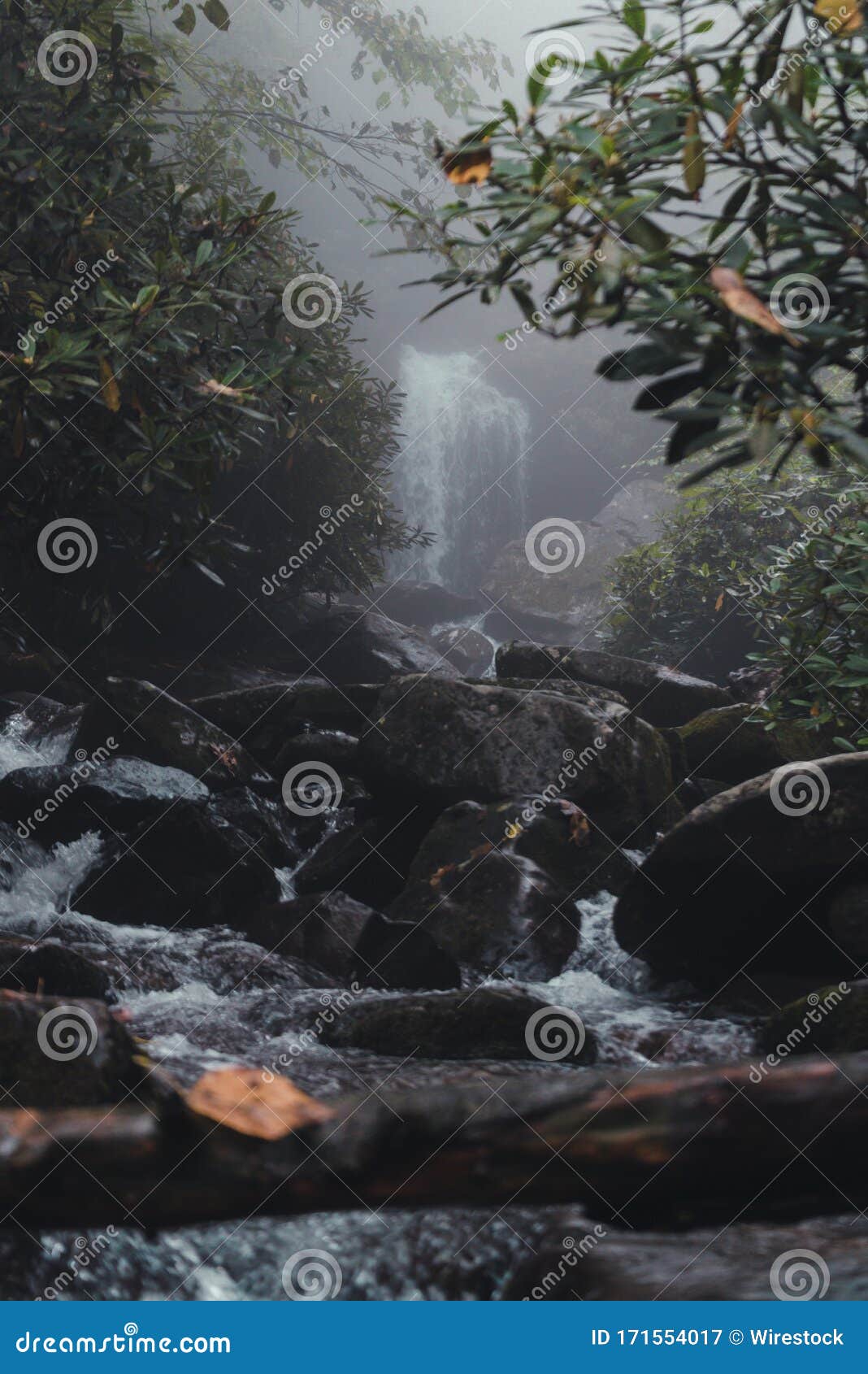 Scenery of a Strong Waterfall Flowing into the River in the Middle of ...