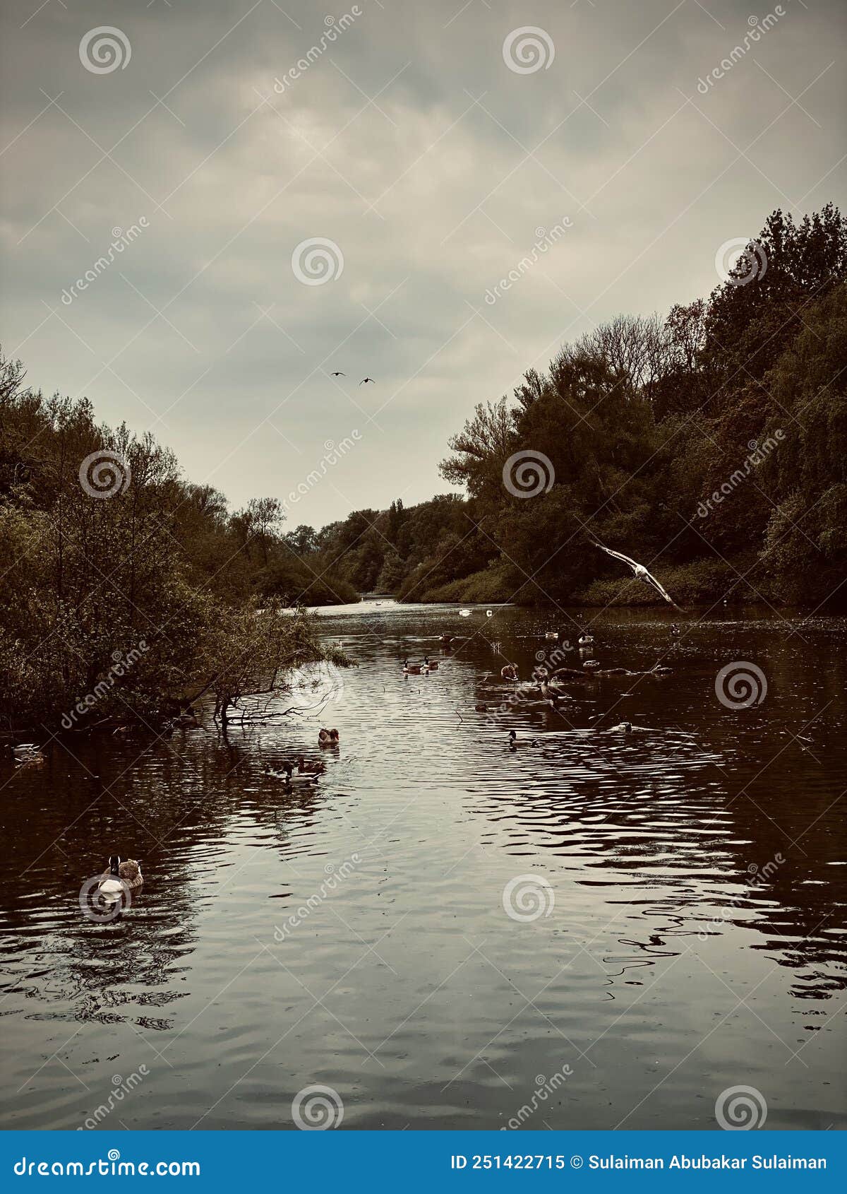 Scenery Studios stock image. Image of bright, shore - 251422715