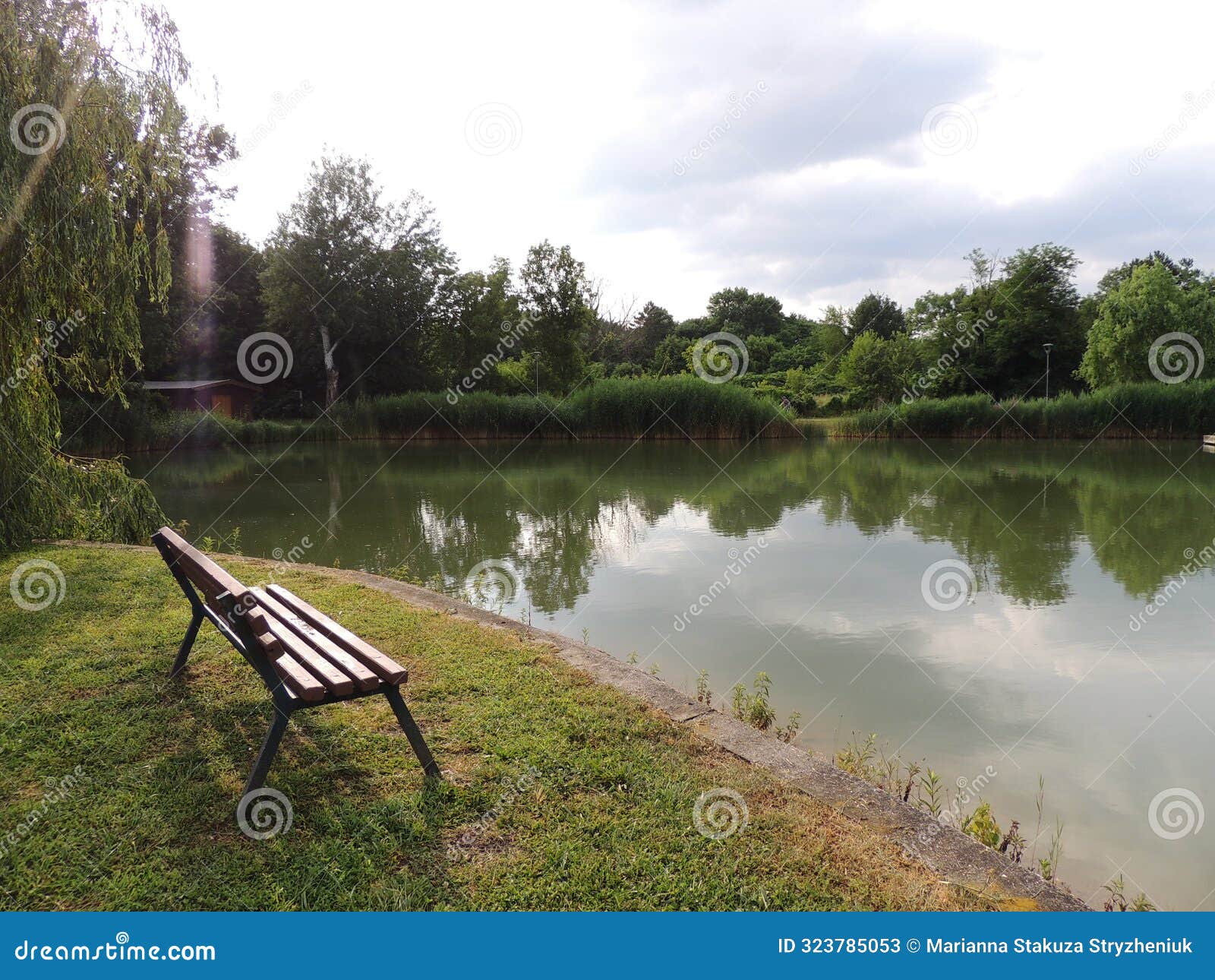 Scenery. Summer. Bench. Lake View Stock Image - Image of channel, marsh ...