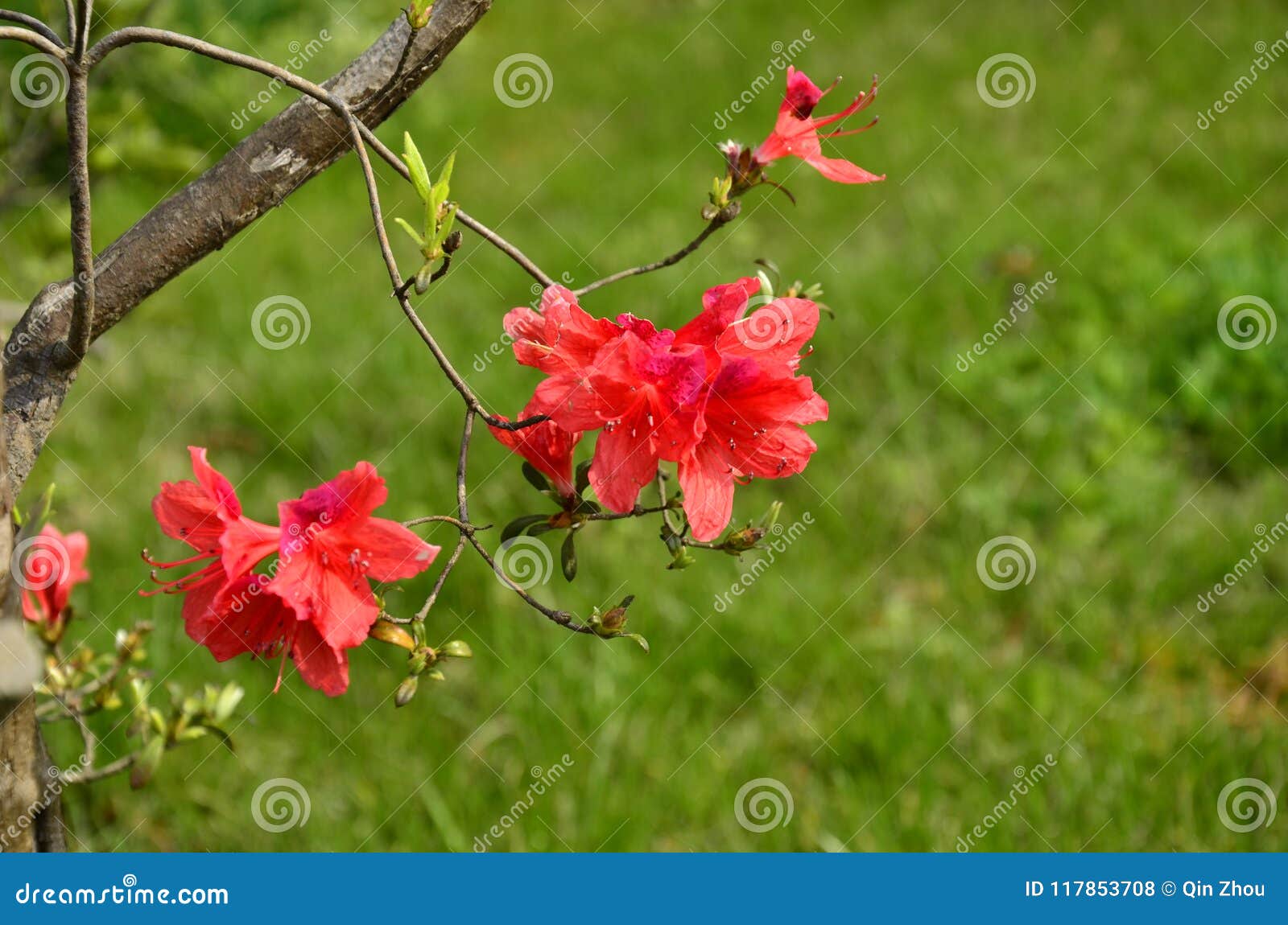 The Scenery of Tianping Mount at Suzhou,China in Spring. Stock Photo ...