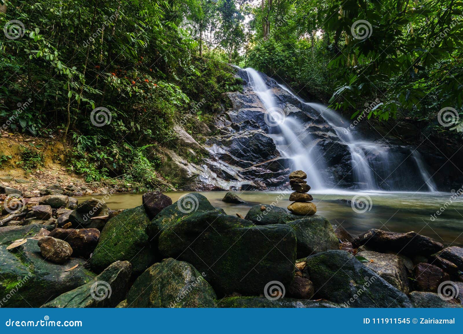 Green forest waterfall stock image. Image of fresh, outdoor - 111911545