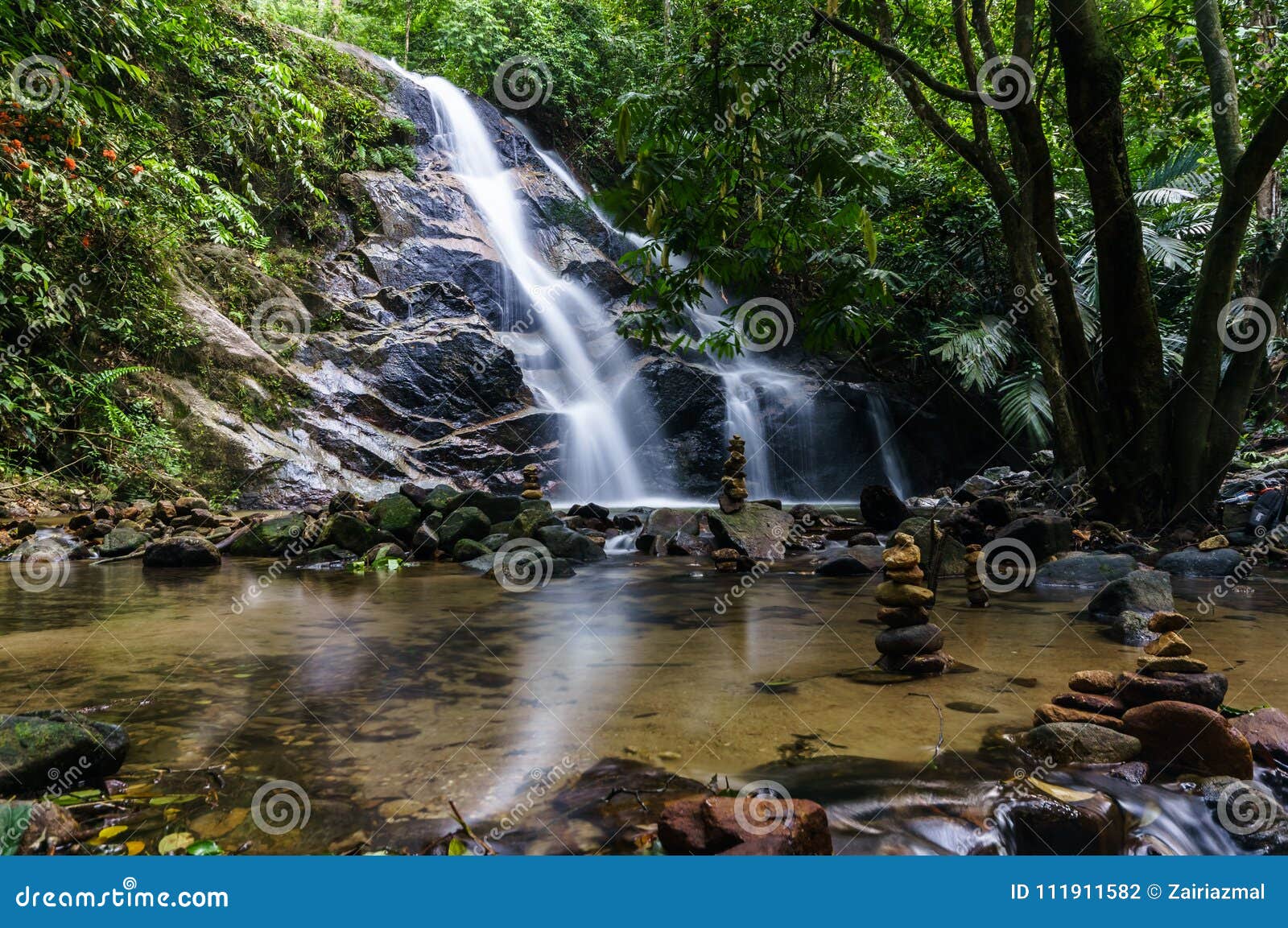 Green forest waterfall stock photo. Image of nature - 111911582