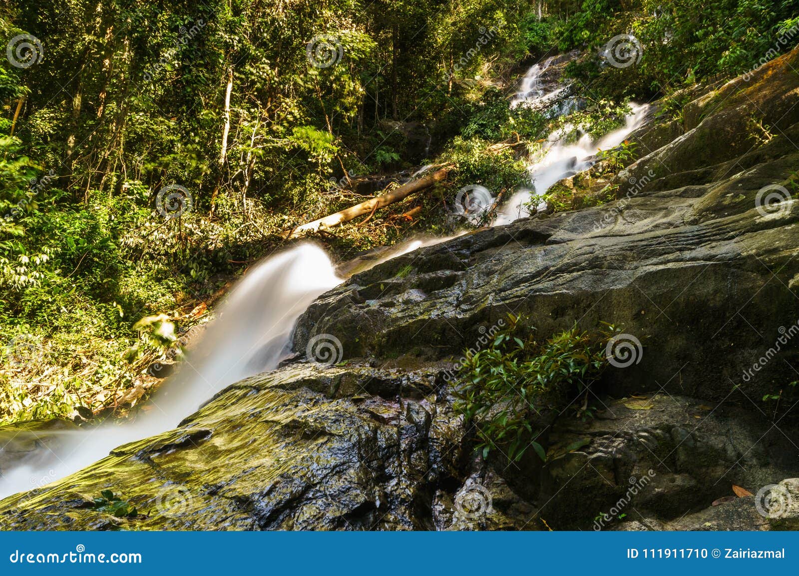 Green forest waterfall stock photo. Image of landscape - 111911710